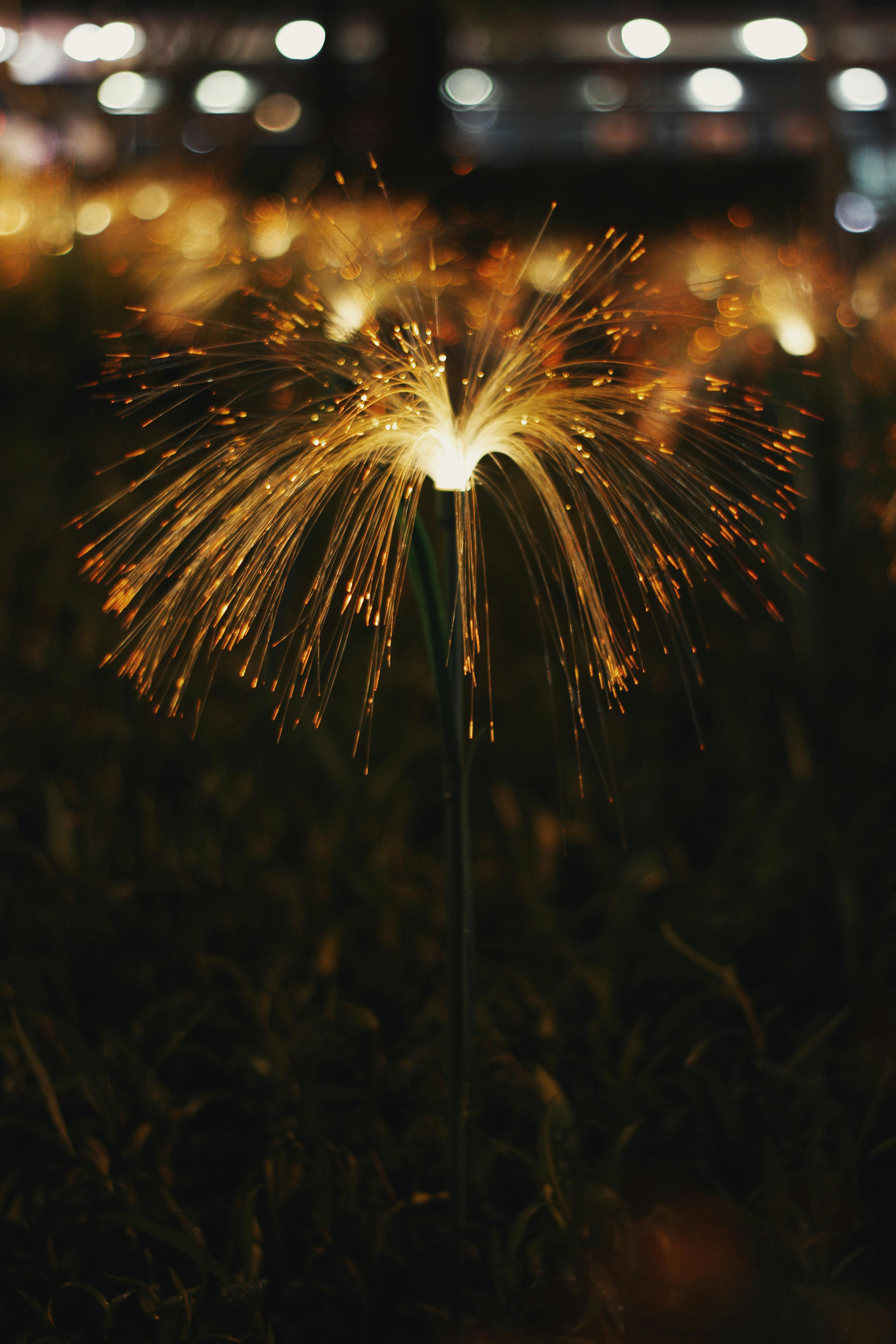 Sparkles on Stick at Night · Free Stock Photo