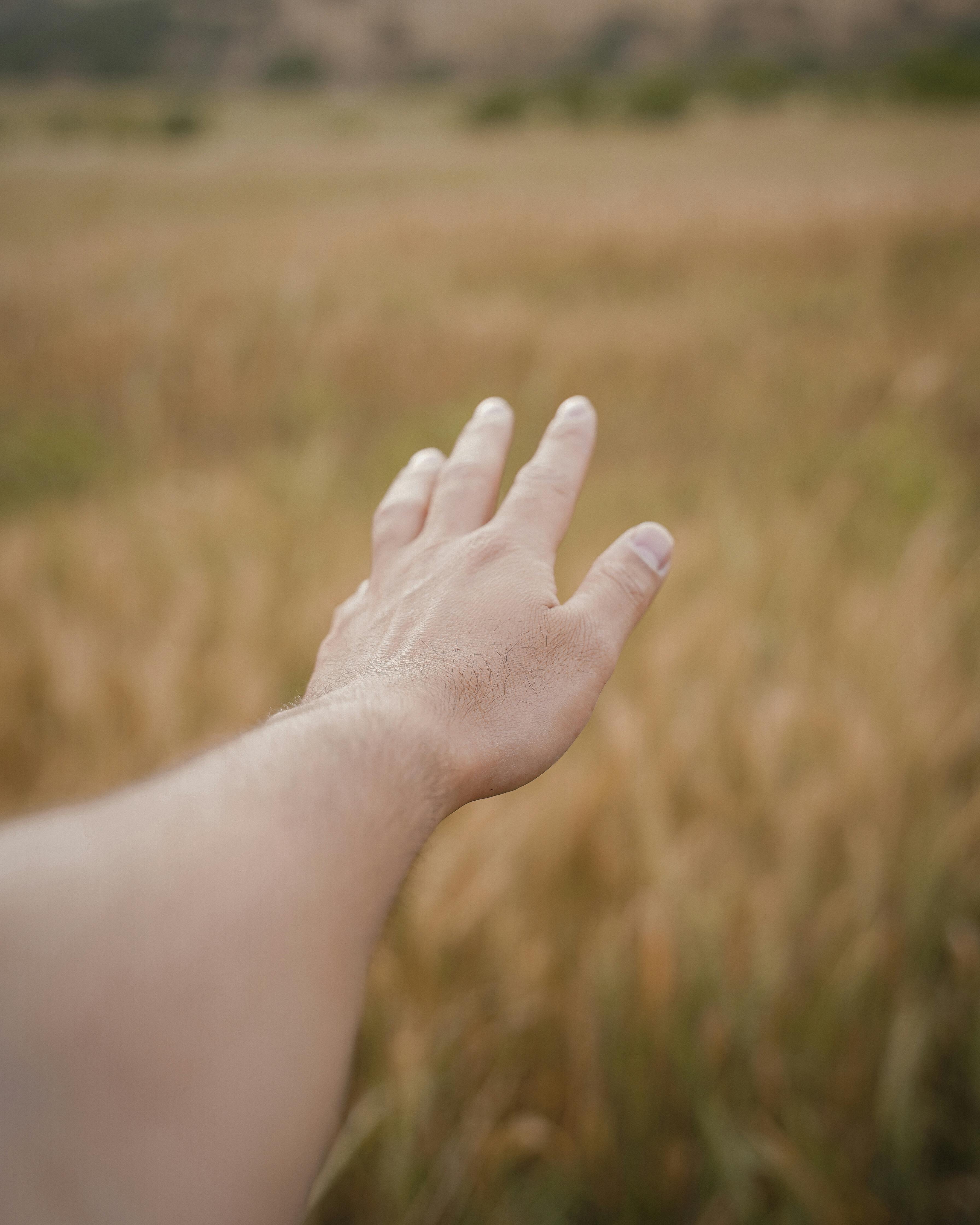 Man Hand Reaching Out Photos, Download The BEST Free Man Hand Reaching ...