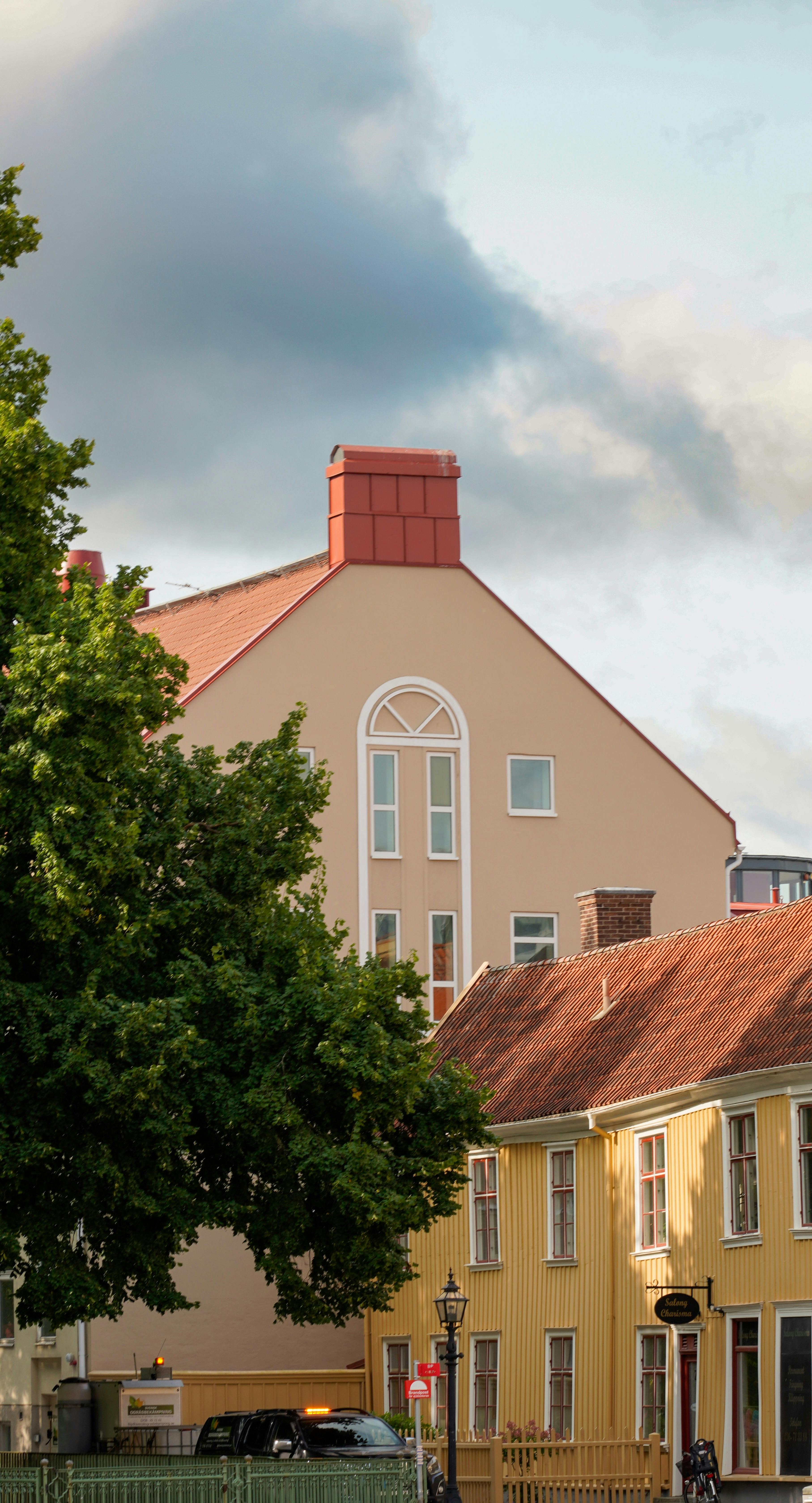 Tree near Buildings Walls · Free Stock Photo