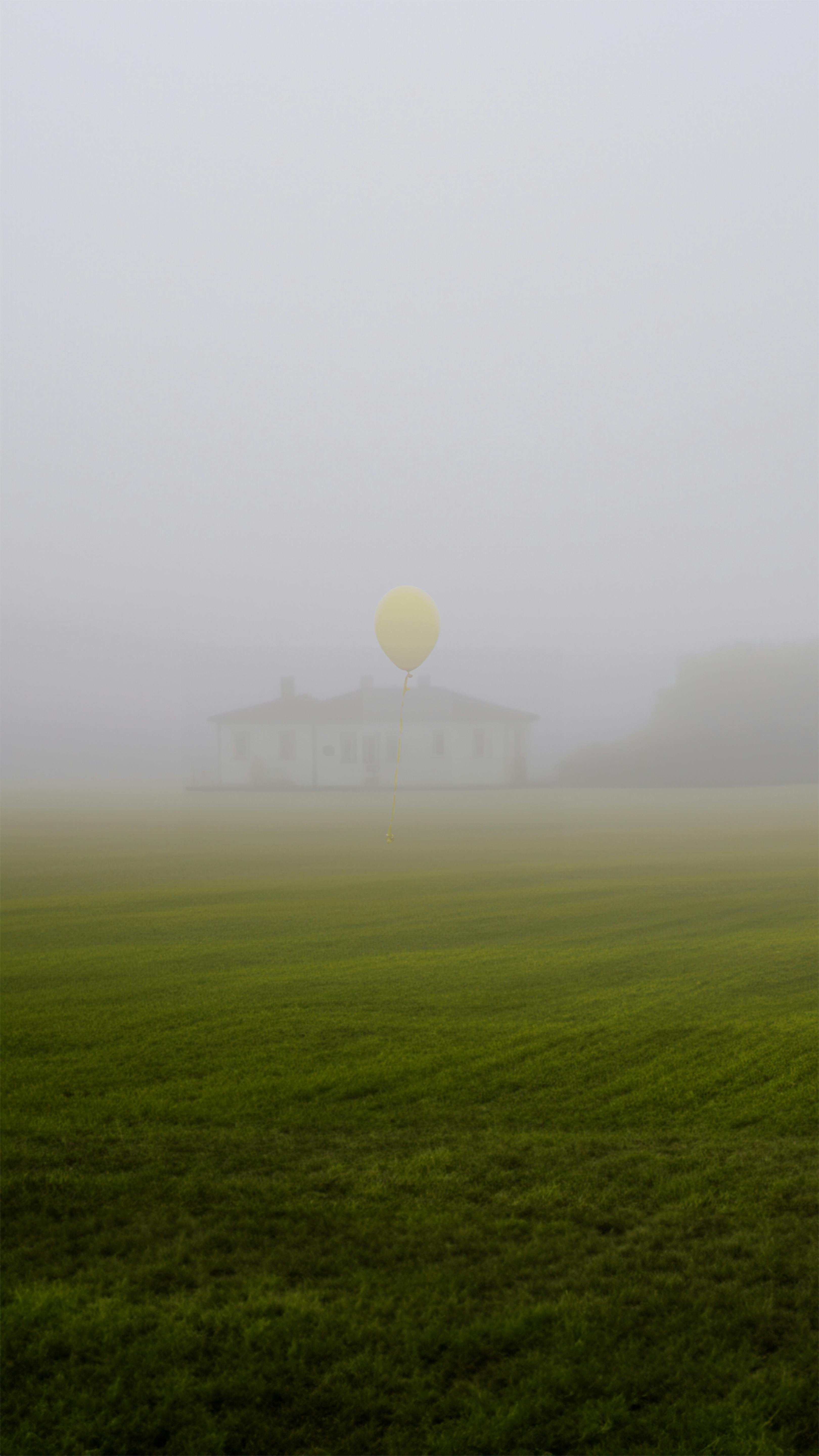 Balloon under Fog over Grassland · Free Stock Photo