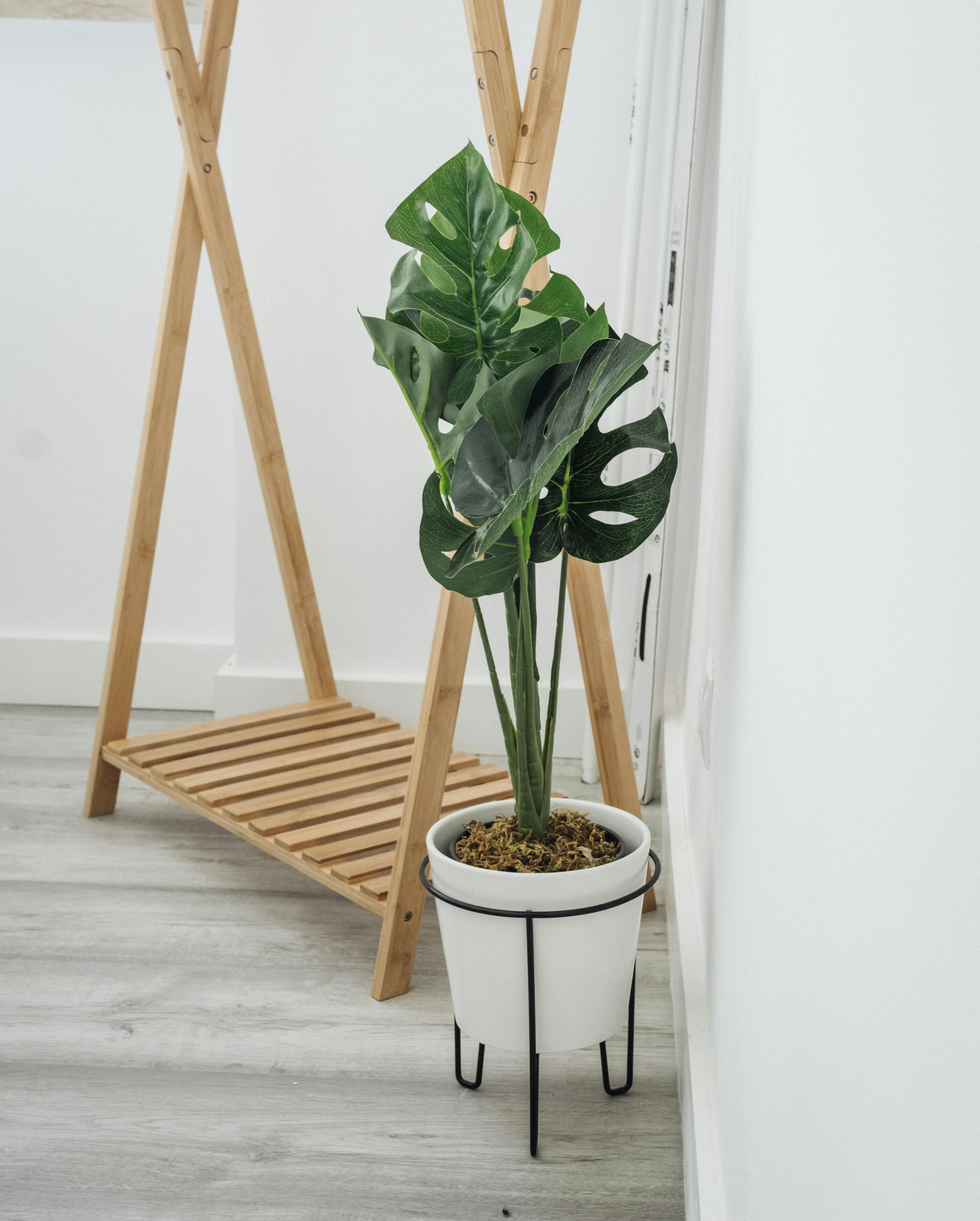 Evil Room Photos, Download The BEST Free Evil Room Stock Photos & HD Images