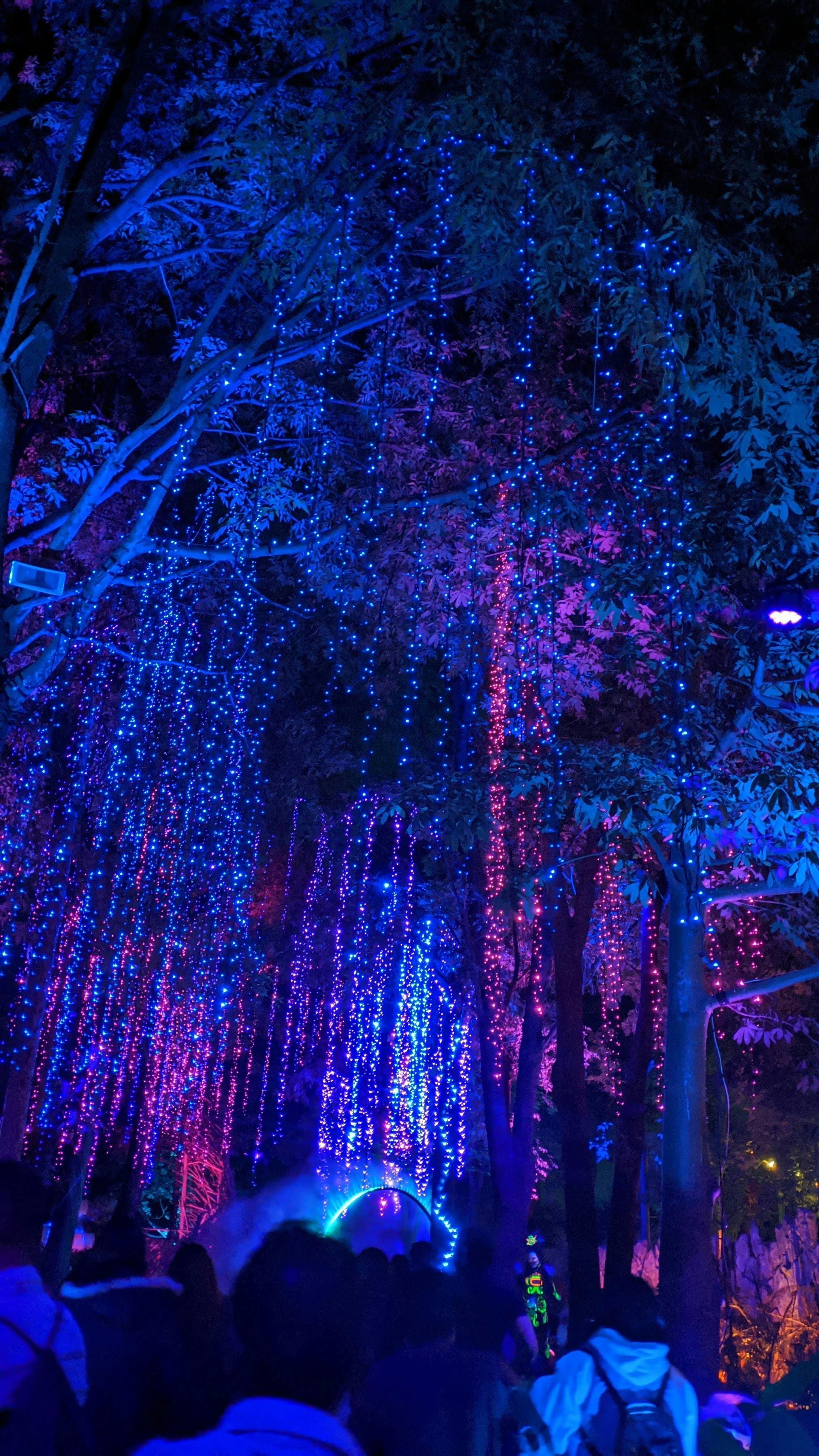 Laura Romero - Photography