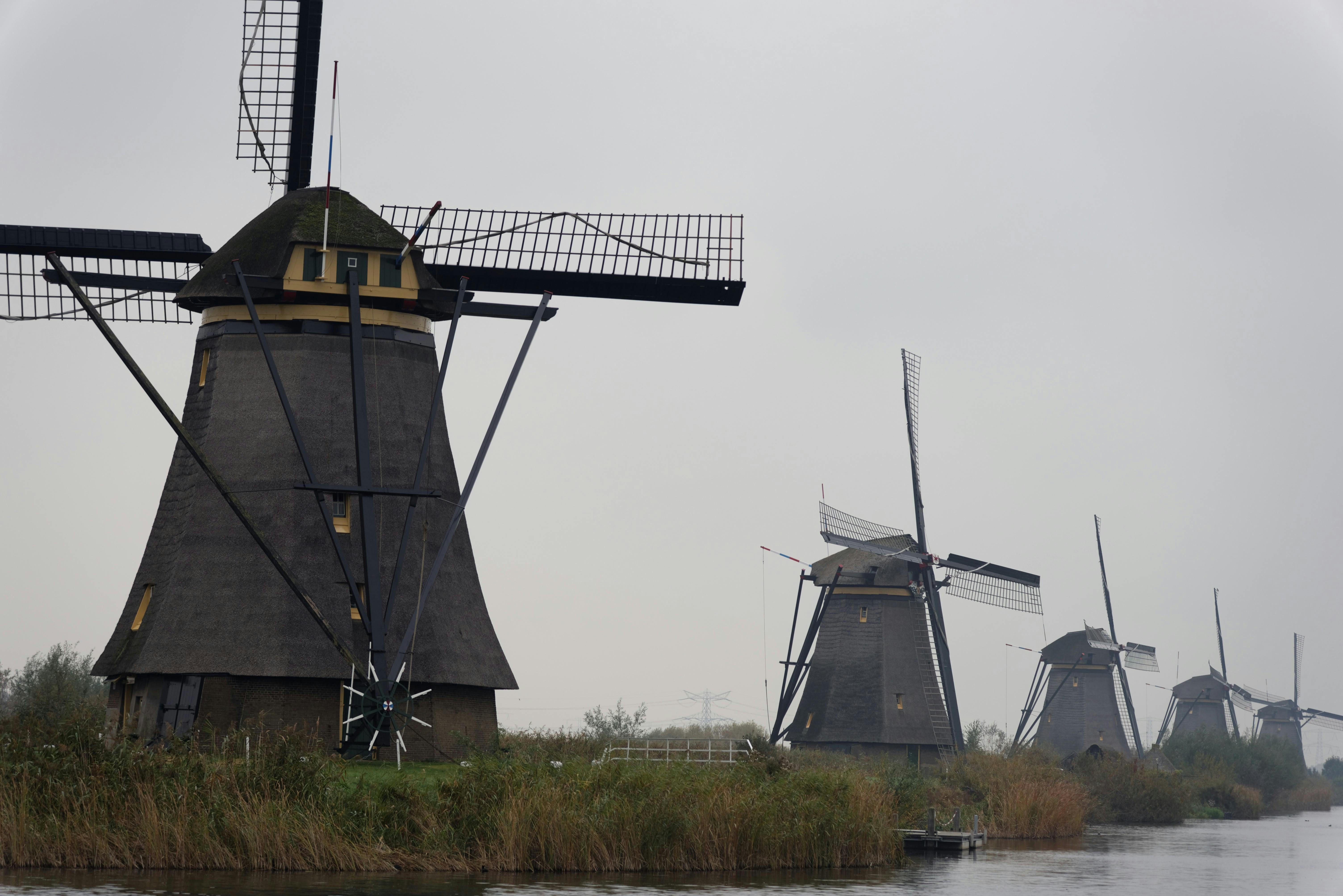 Windmills in Kinderdijk · Free Stock Photo