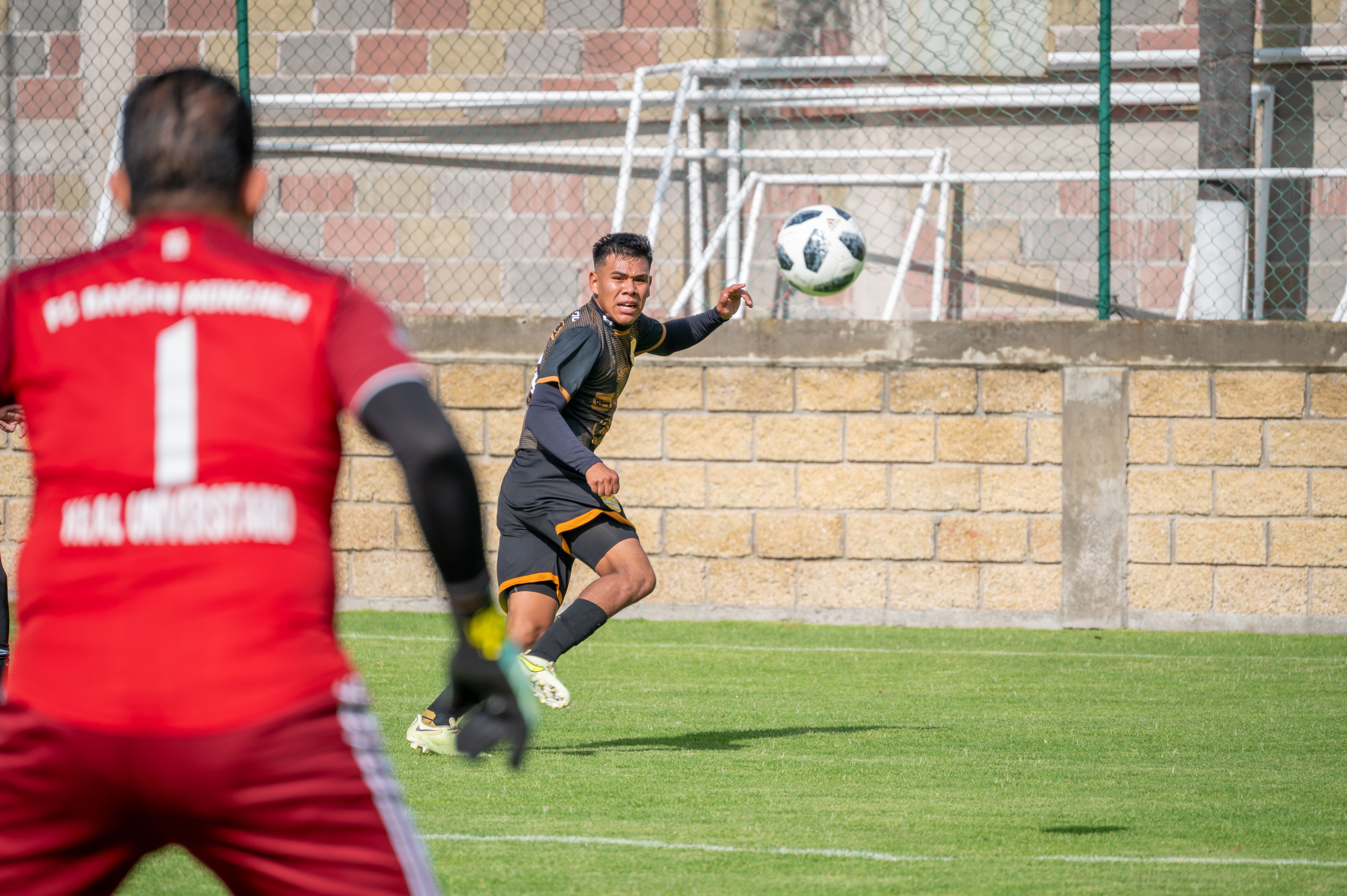 Goalkeeper Threw Ball To Player Free Stock Photo