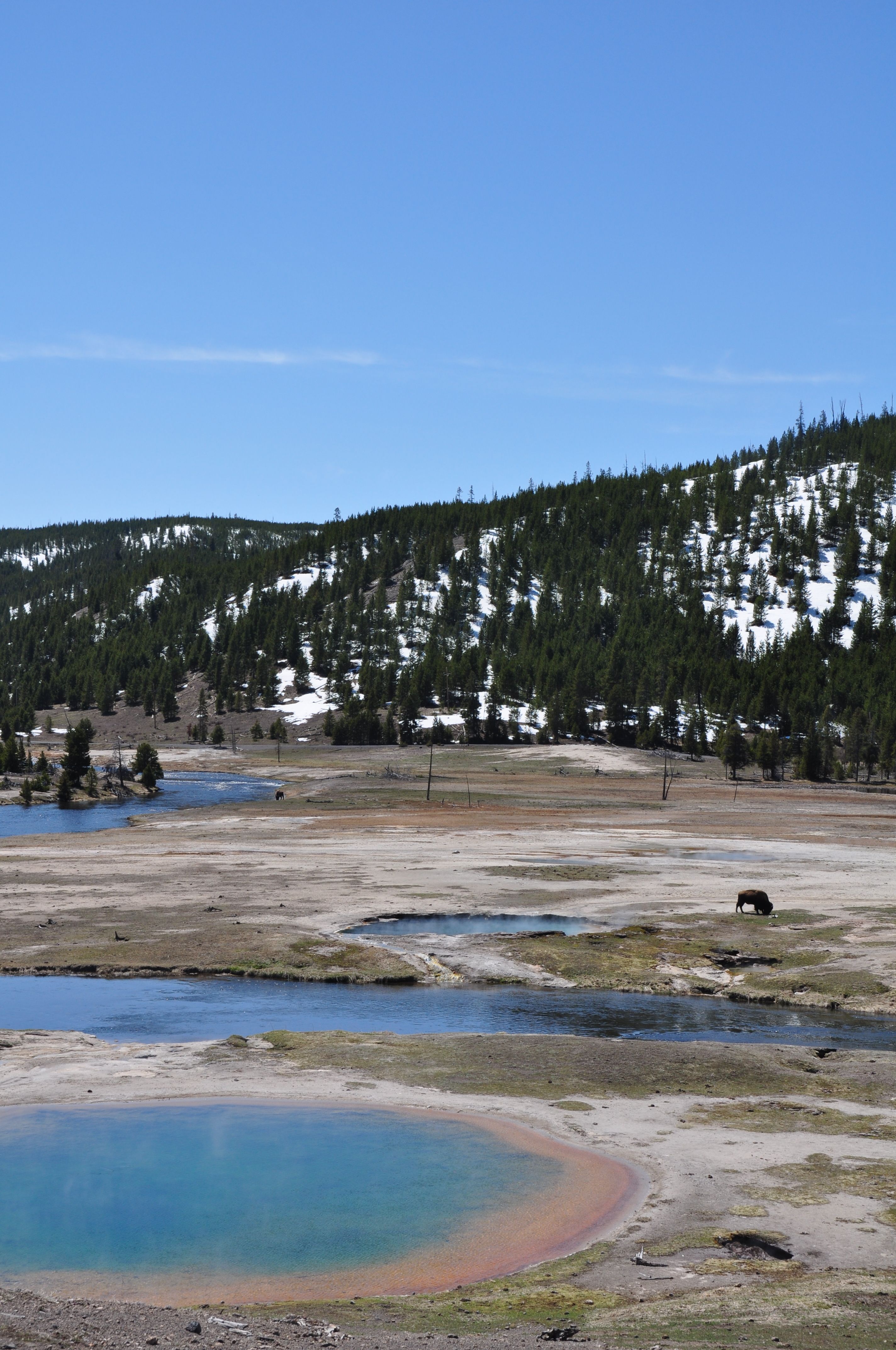Foto de stock gratuita sobre aguas termales, bosque, cubierto de nieve ...