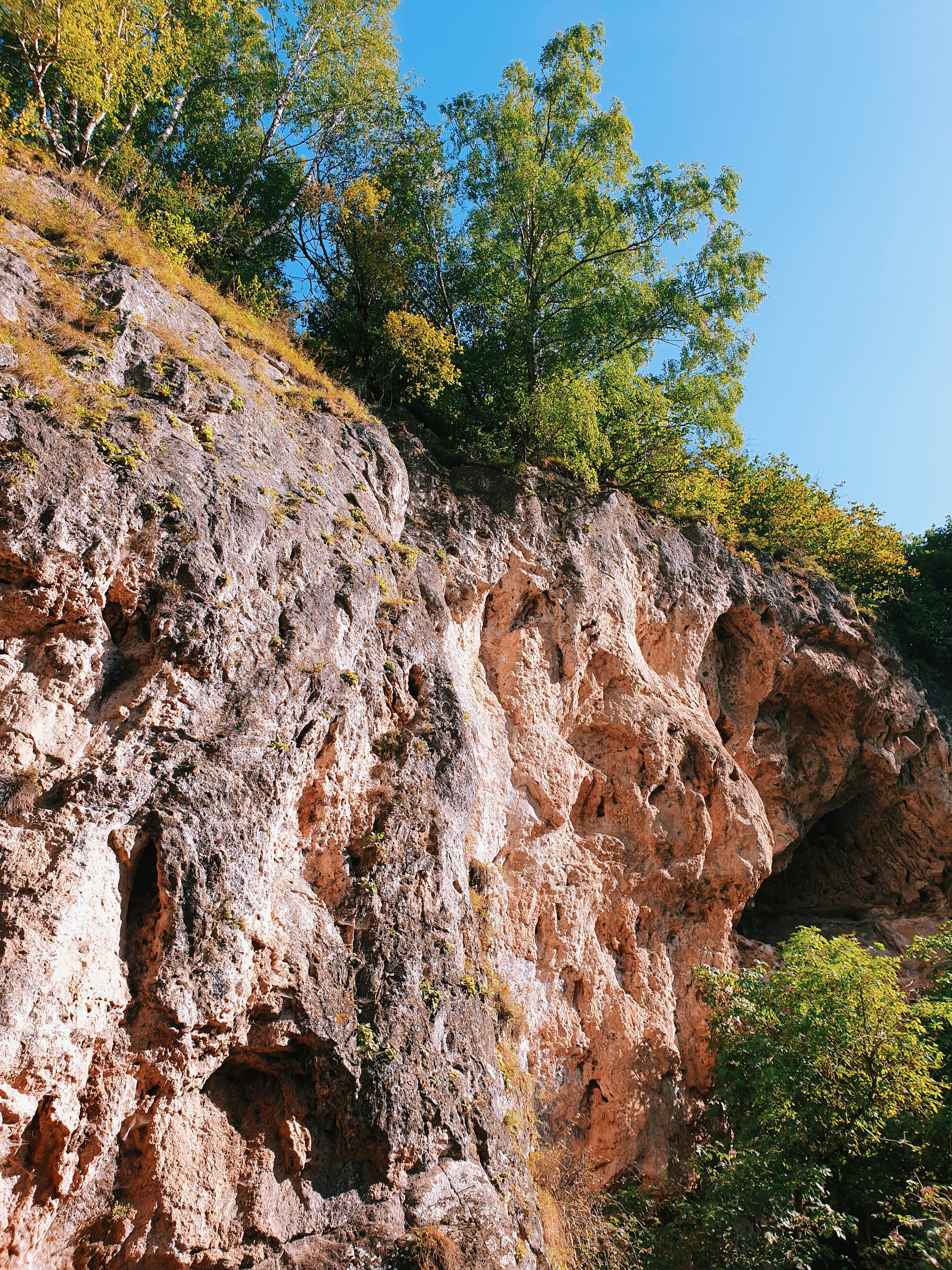 View of a Cliff and Trees under Clear Blue Sky · Free Stock Photo