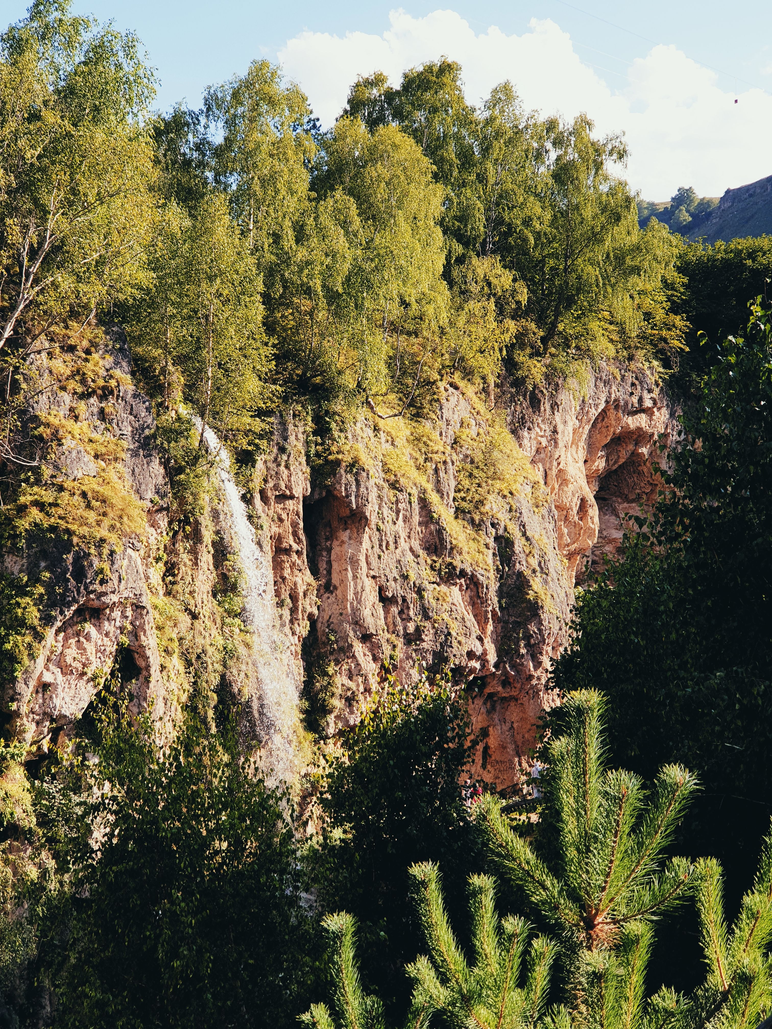View of a Cliff and Trees in Mountains · Free Stock Photo