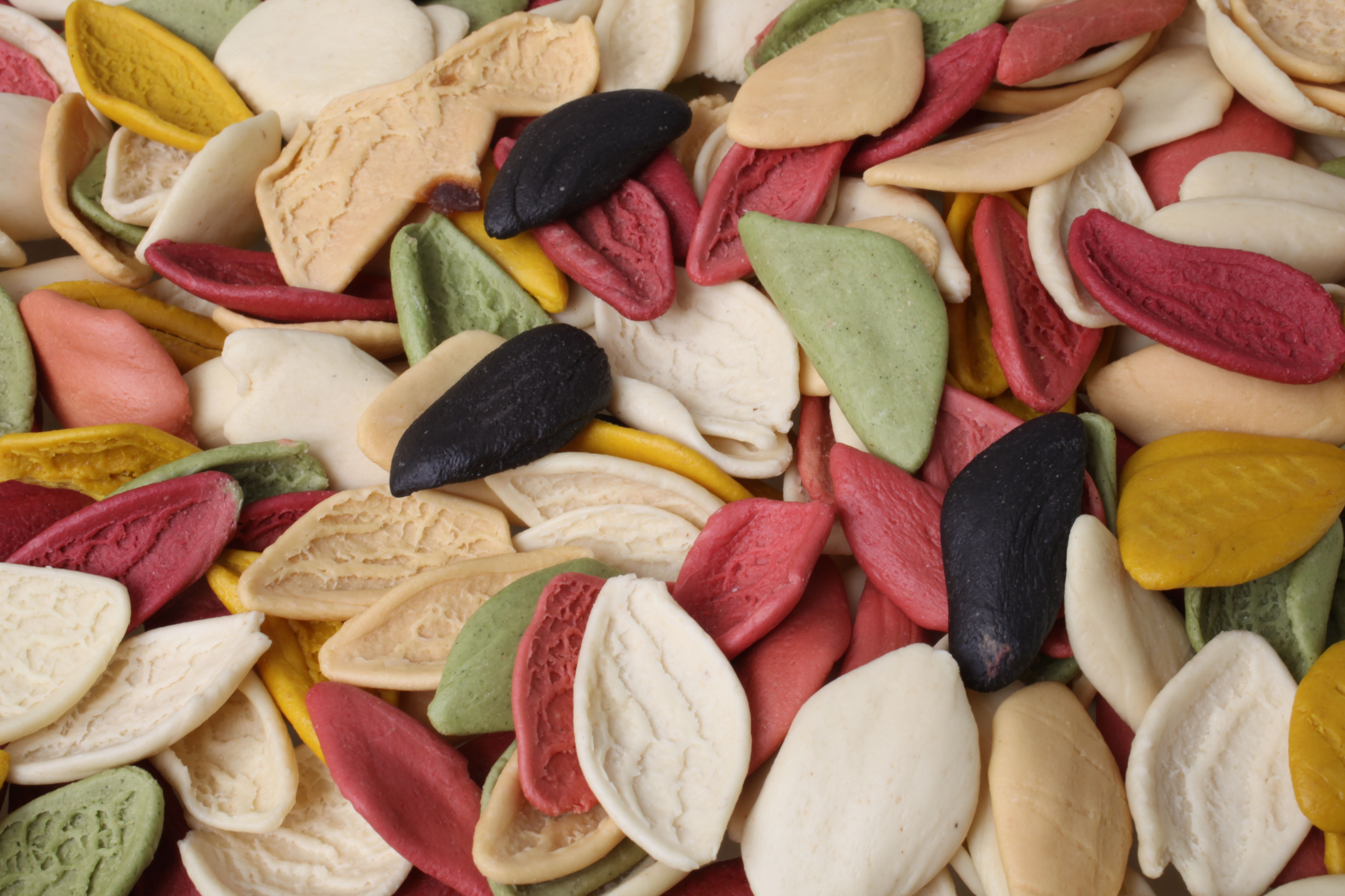 Multi Colored Italian Pasta · Free Stock Photo