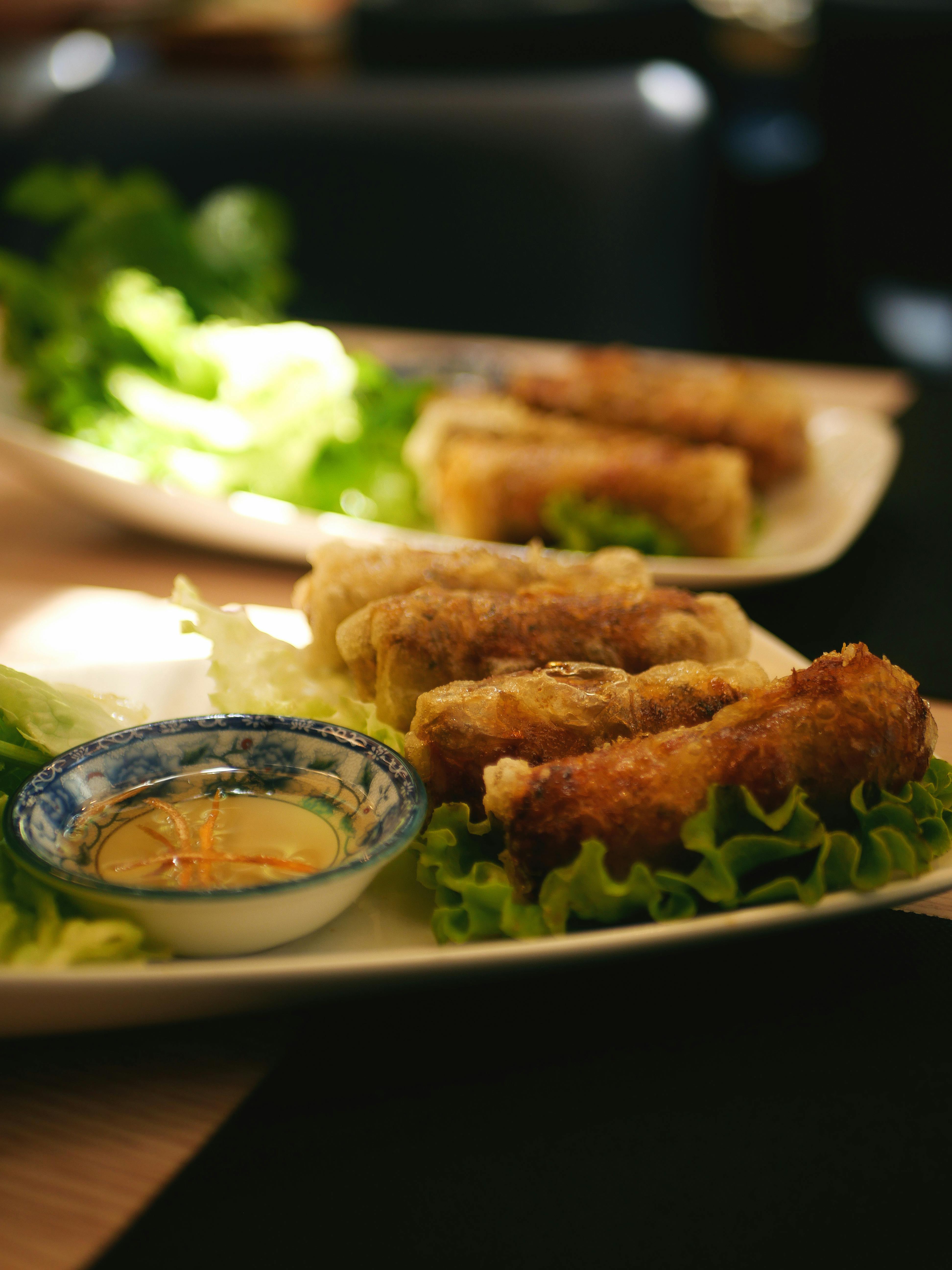 Fried Cha Gio on Plate with Sauce · Free Stock Photo
