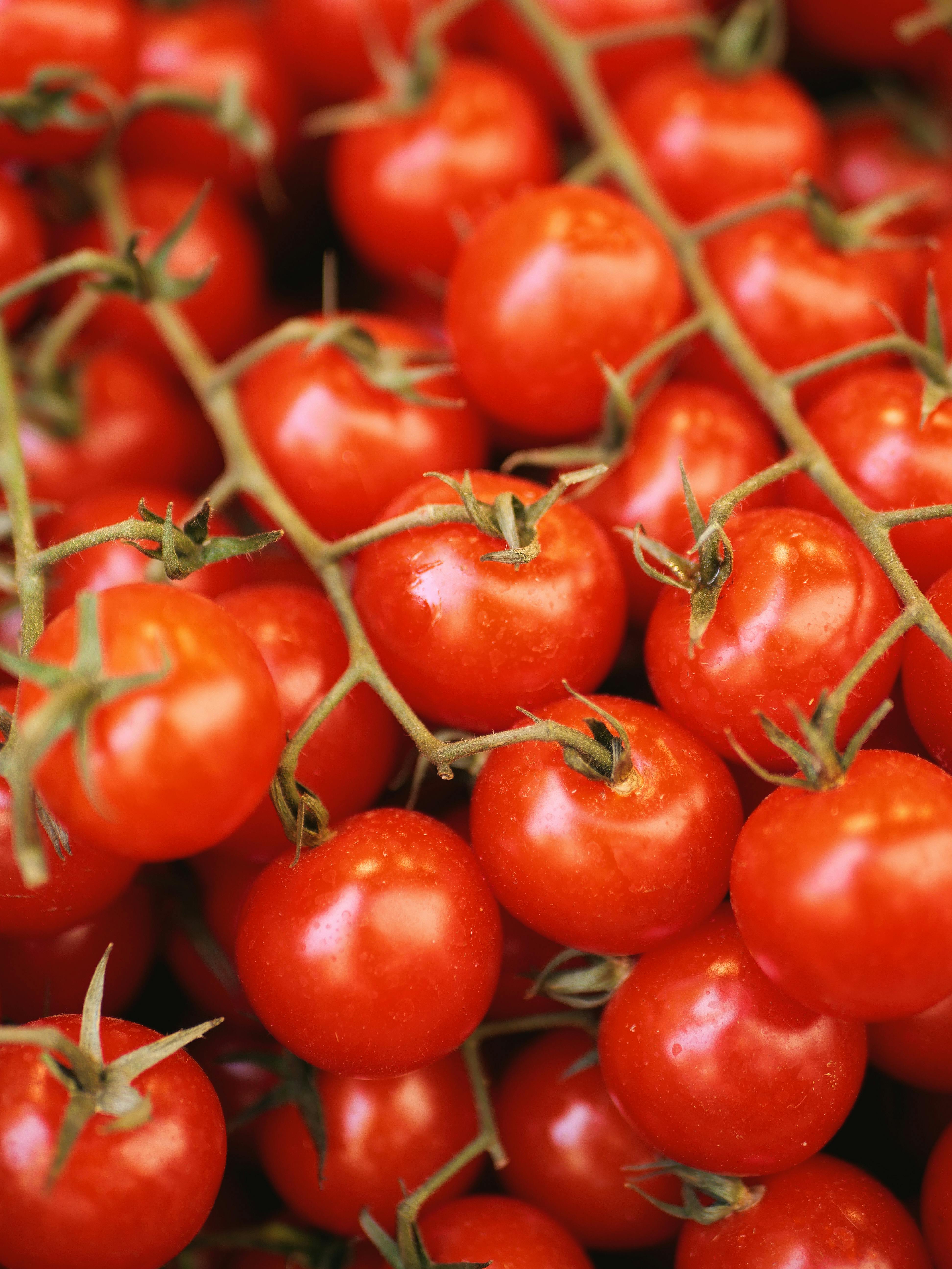 Photo of Tomatoes on Woven Basket · Free Stock Photo
