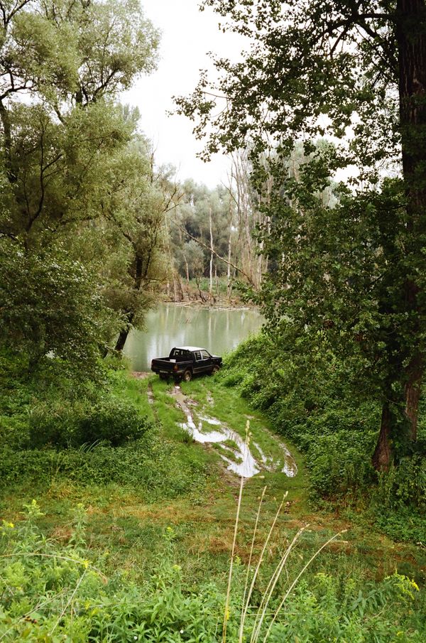 Car In Forest Photos, Download The BEST Free Car In Forest Stock Photos ...