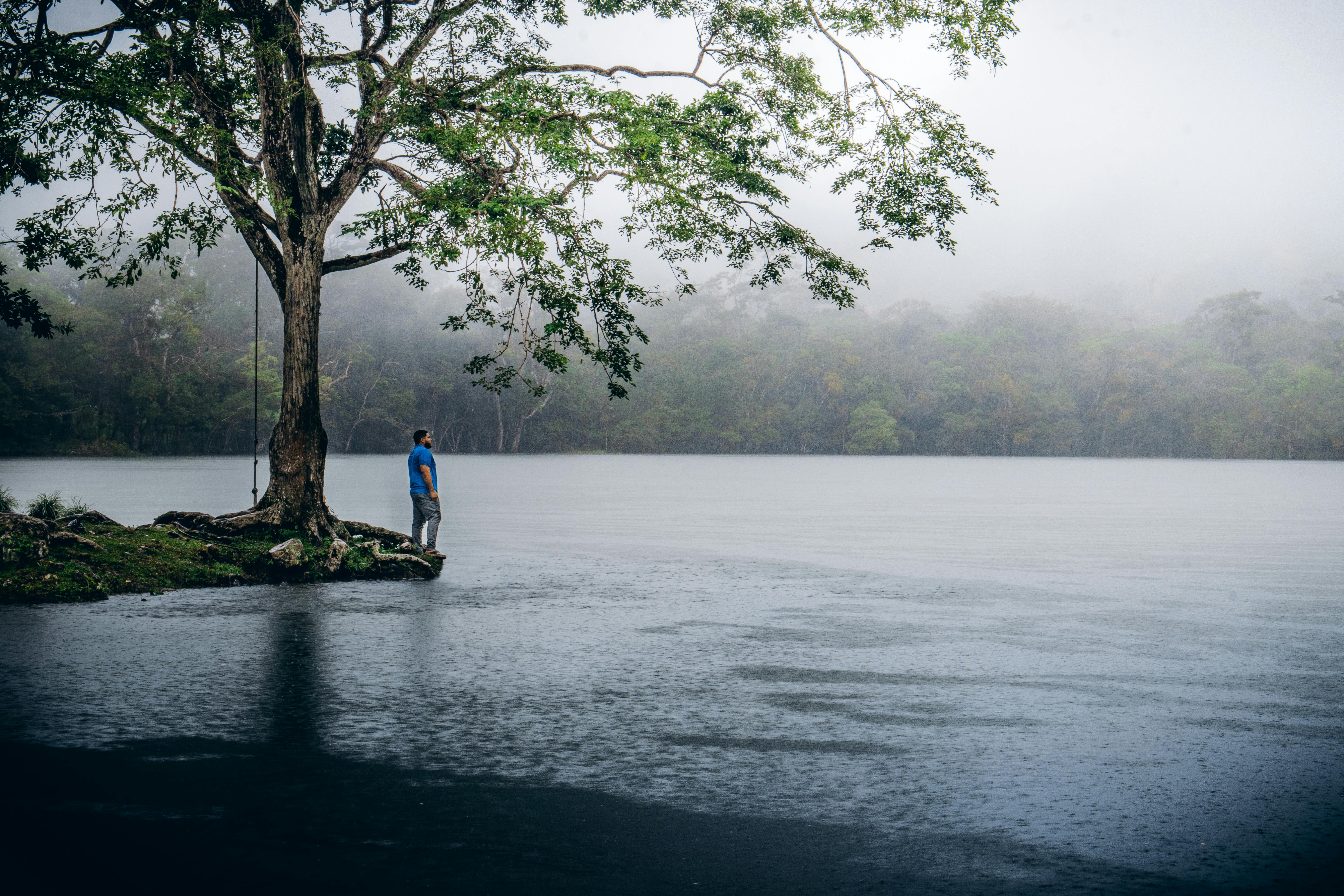 Hanger Man In Forest Photos, Download The BEST Free Hanger Man In ...