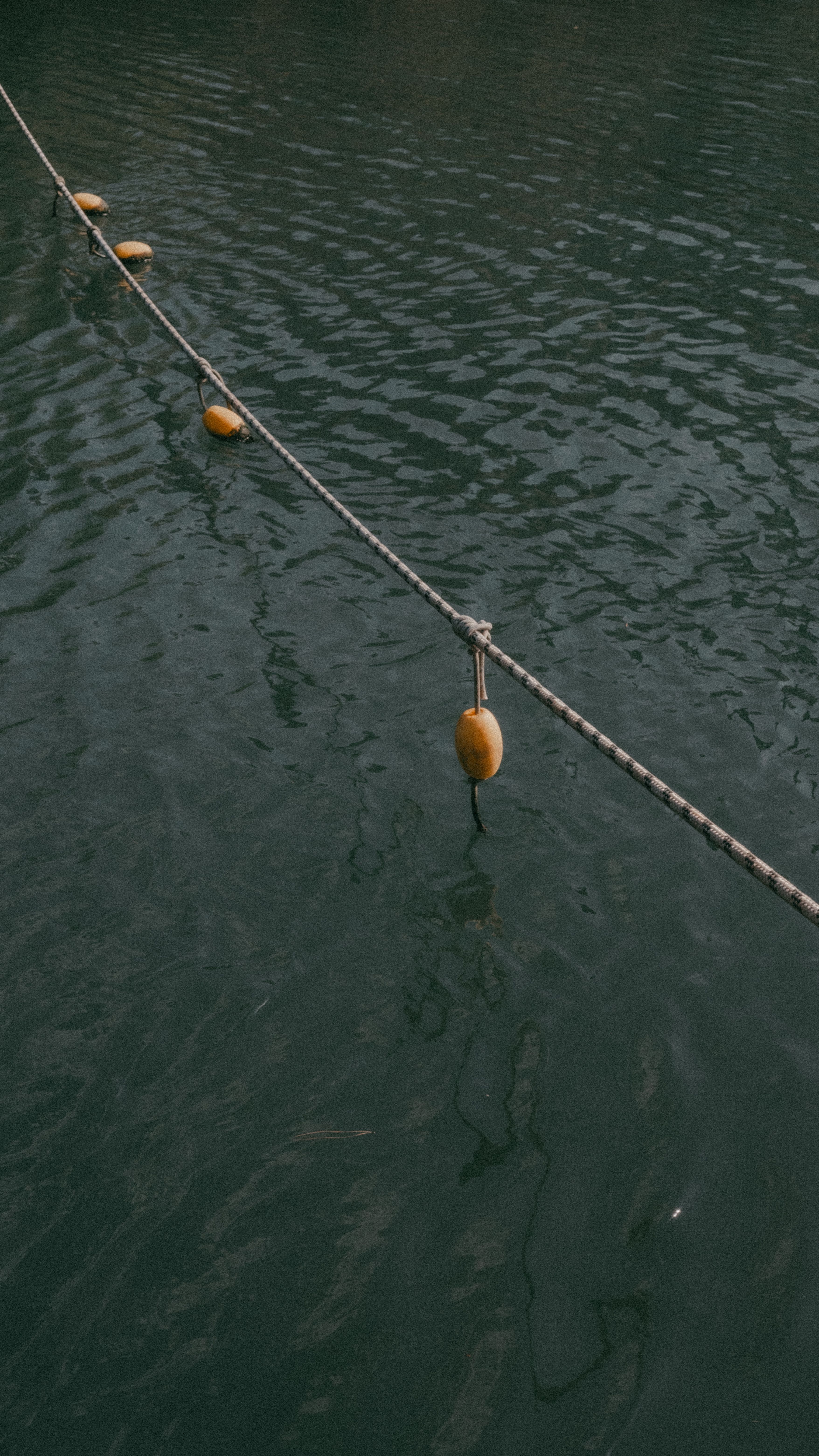 Bale Line Photos, Download The BEST Free Bale Line Stock Photos & HD Images