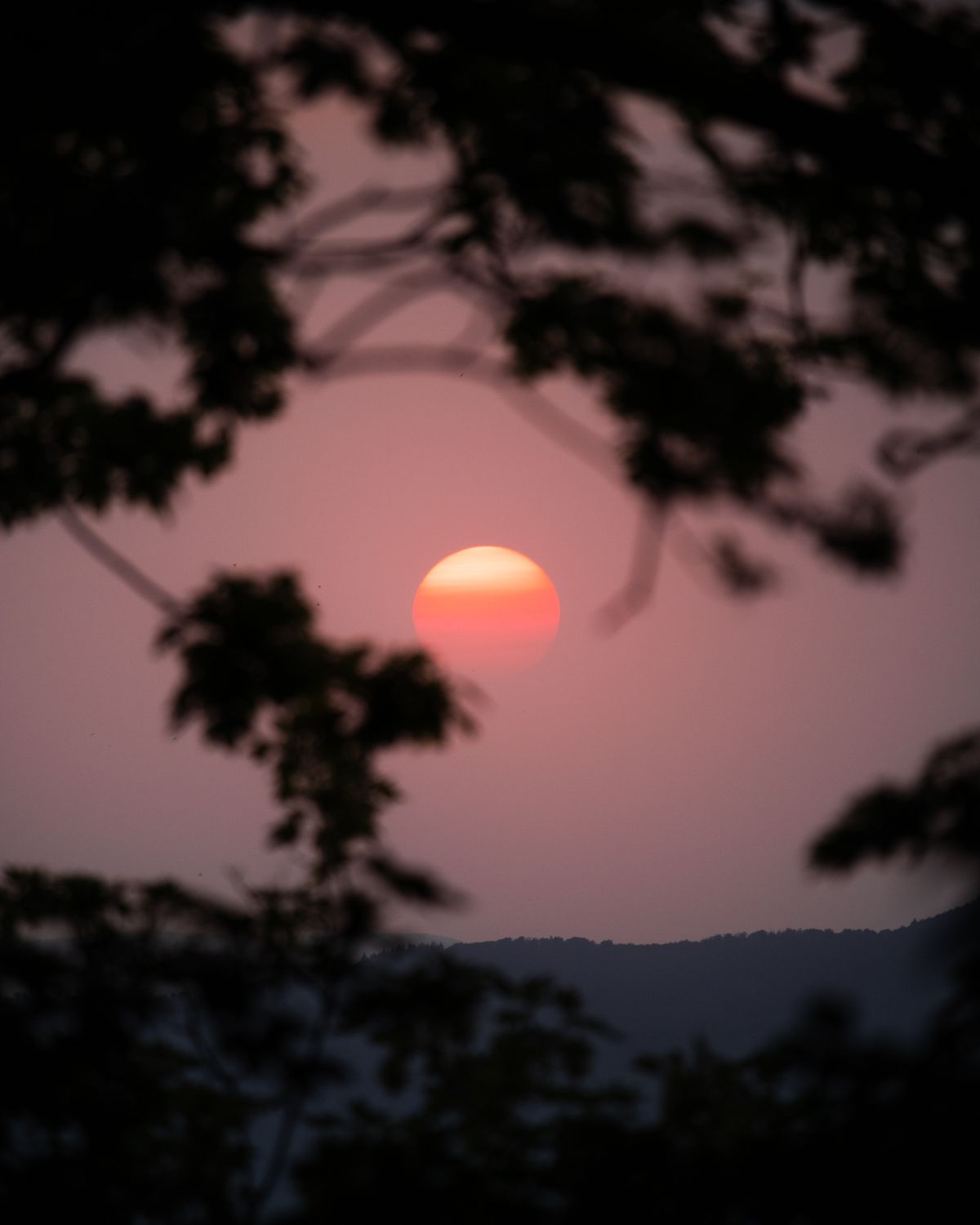 Sun Pictures With No Background Photos, Download The BEST Free Sun ...