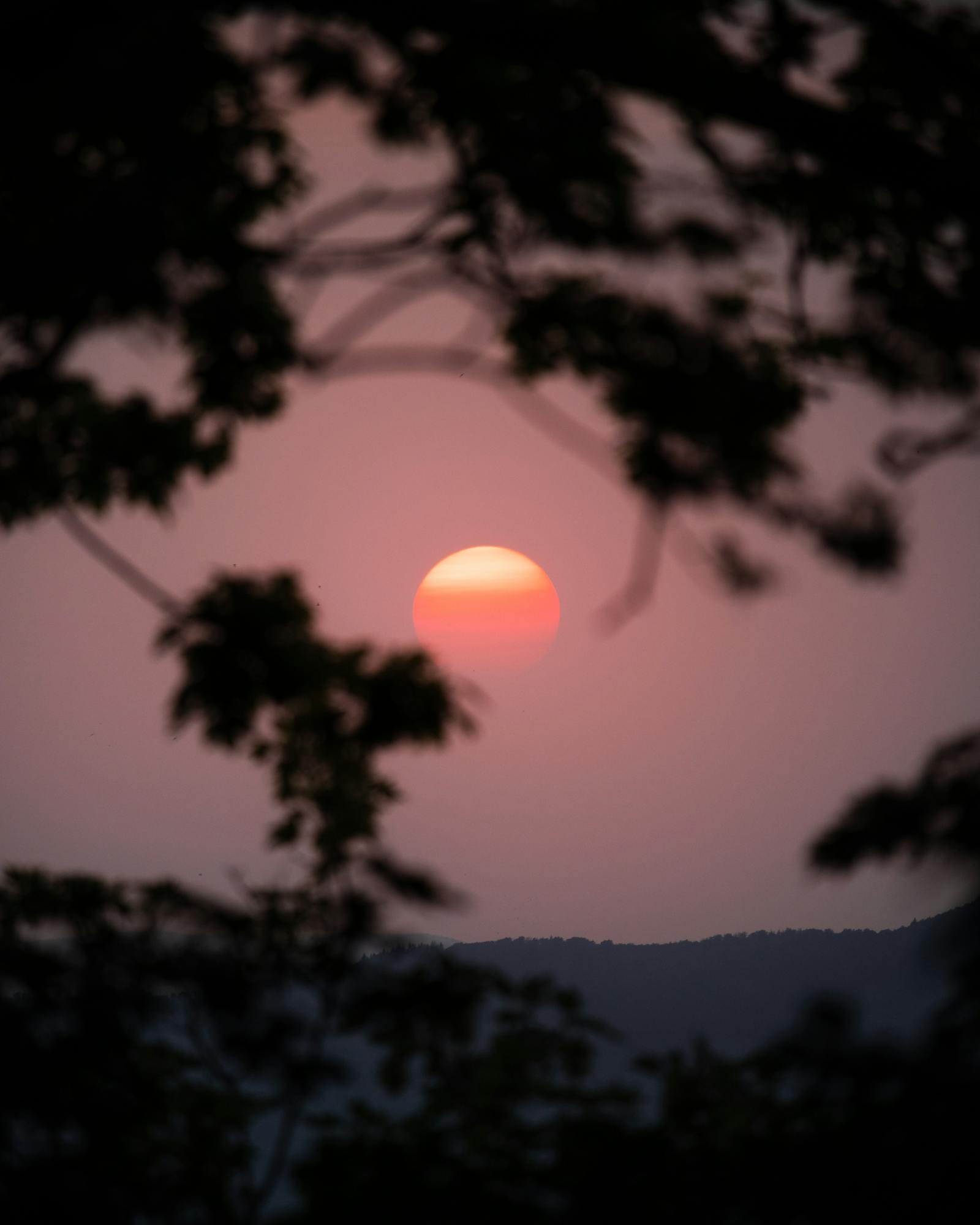 Sun Background Images Photos, Download The BEST Free Sun Background ...