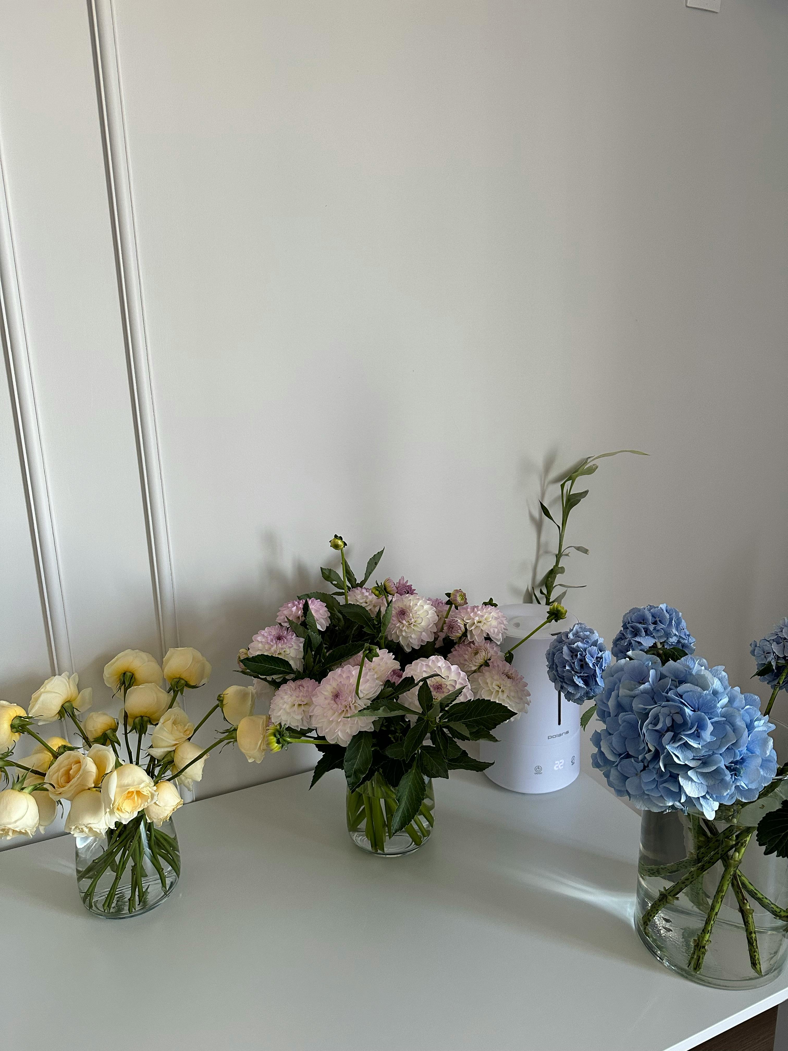 Colorful Flowers on Table · Free Stock Photo