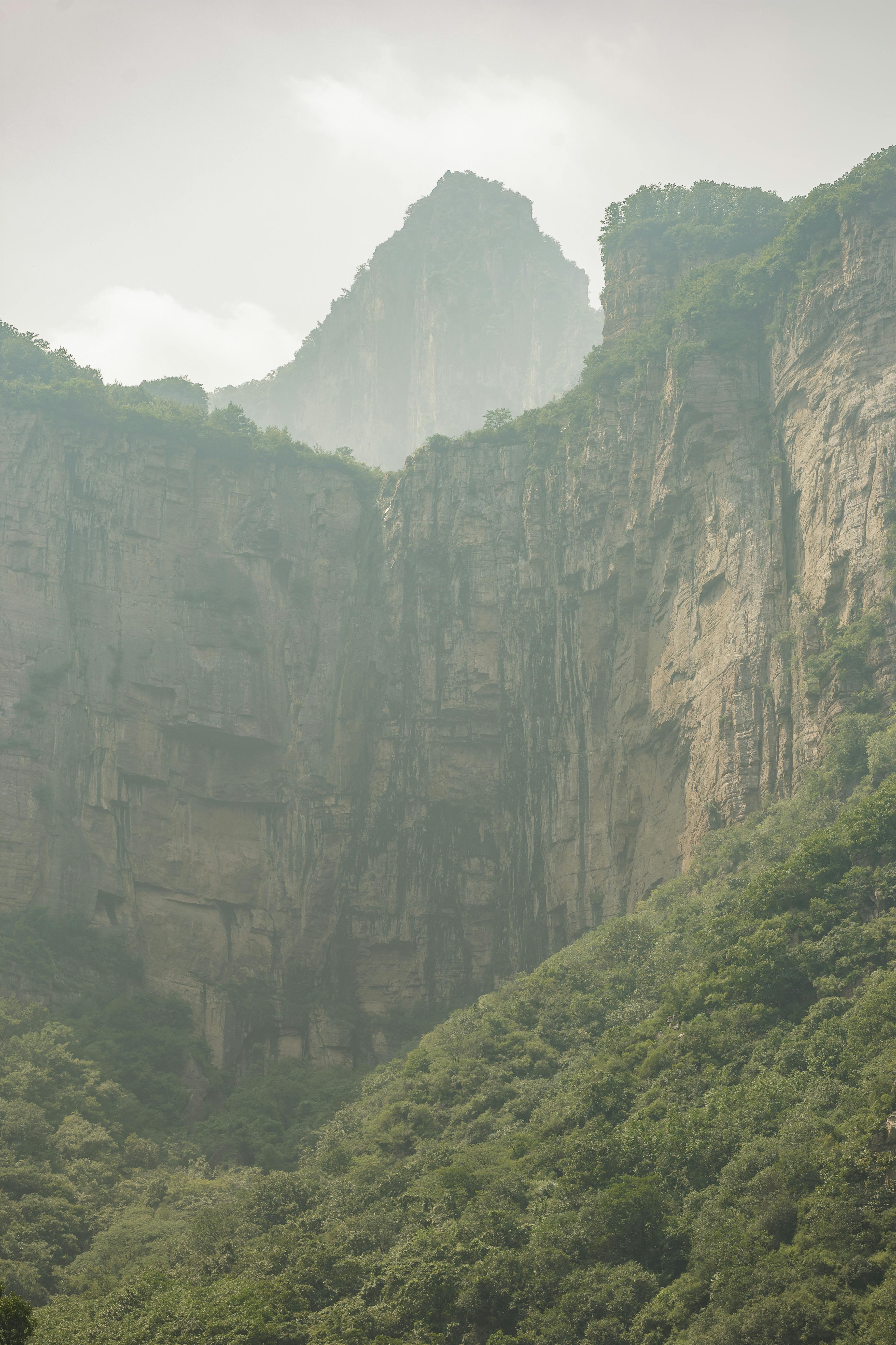 View of Large Cliffs and Trees from the Valley · Free Stock Photo