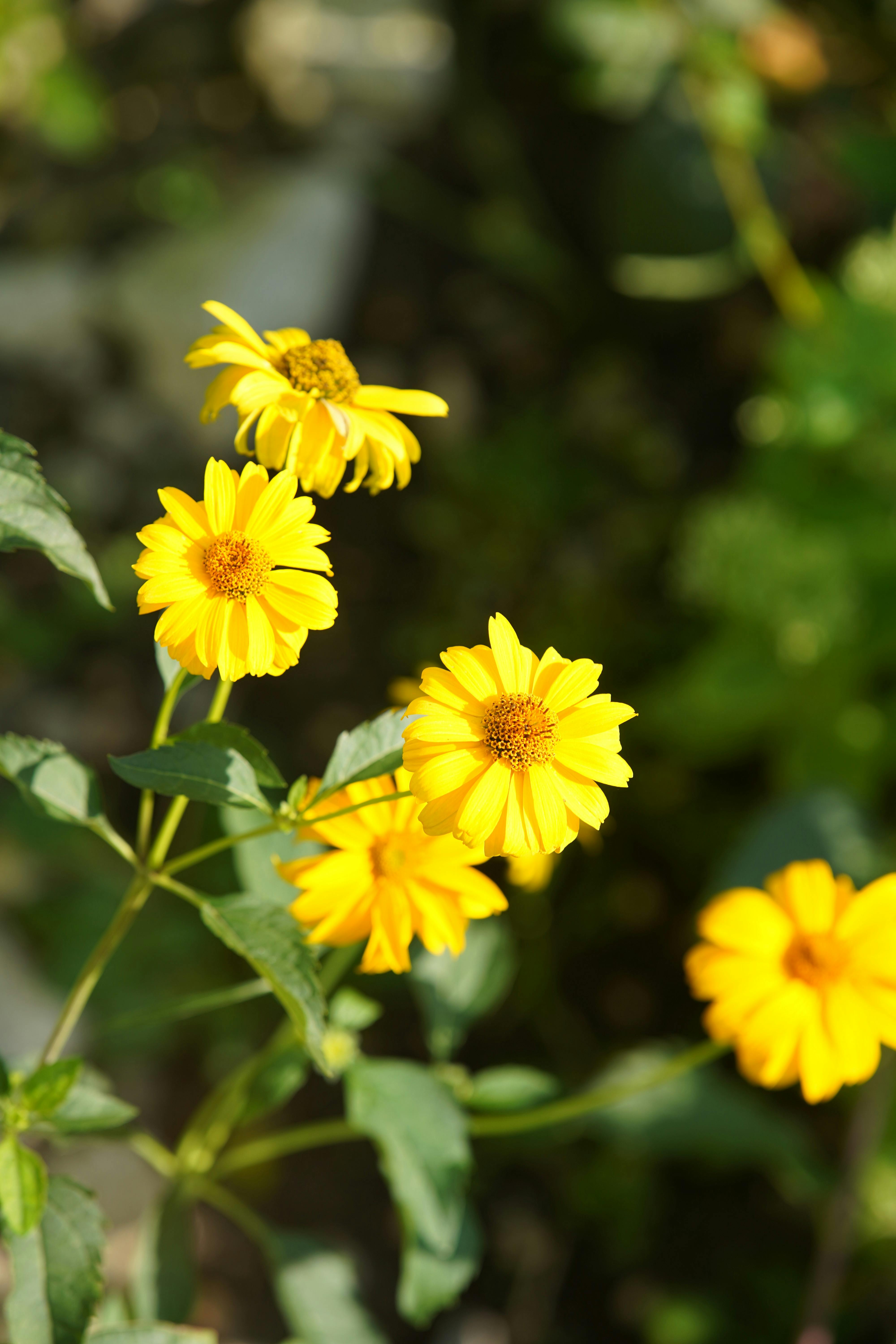 Nature Lock Screen Photos, Download The BEST Free Nature Lock Screen ...