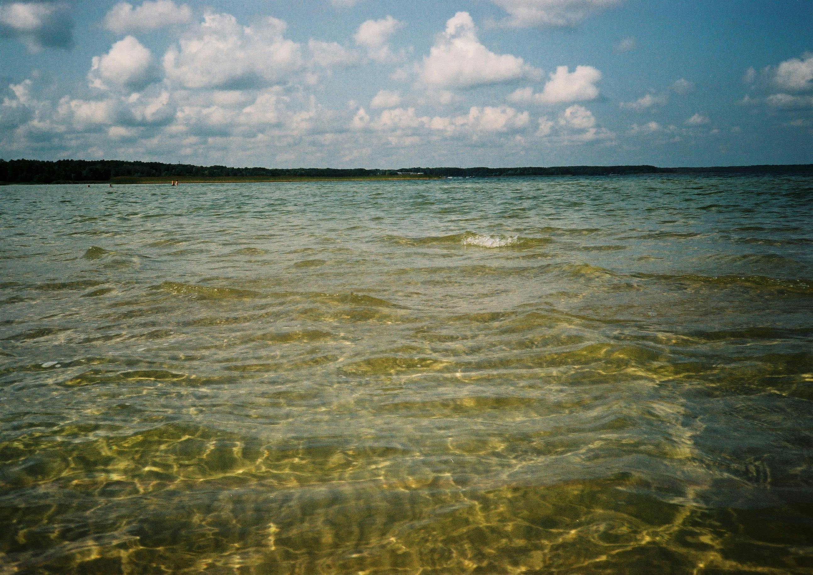 Shallow, Transparent Water on Shore · Free Stock Photo