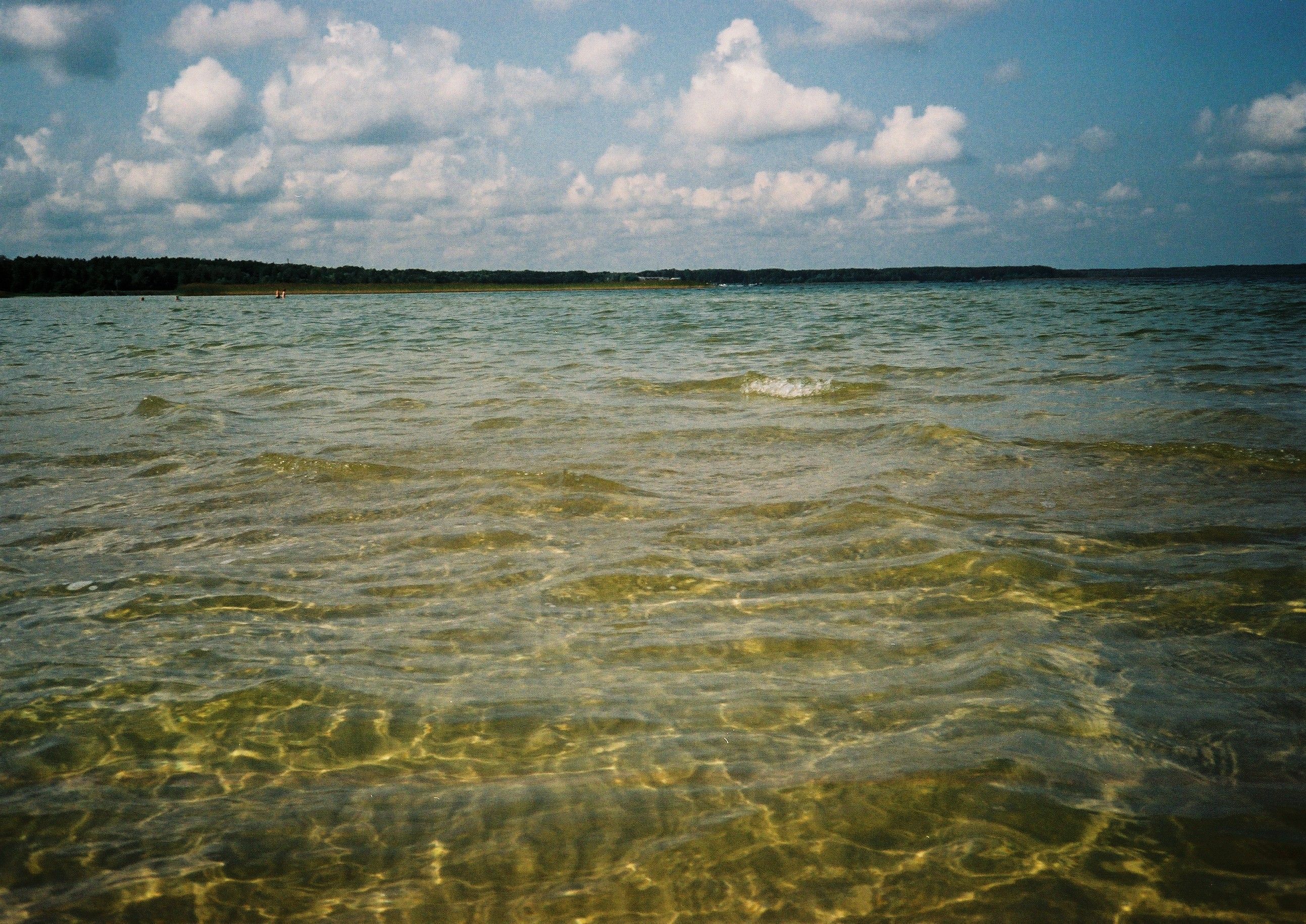Shallow Water on Shore · Free Stock Photo