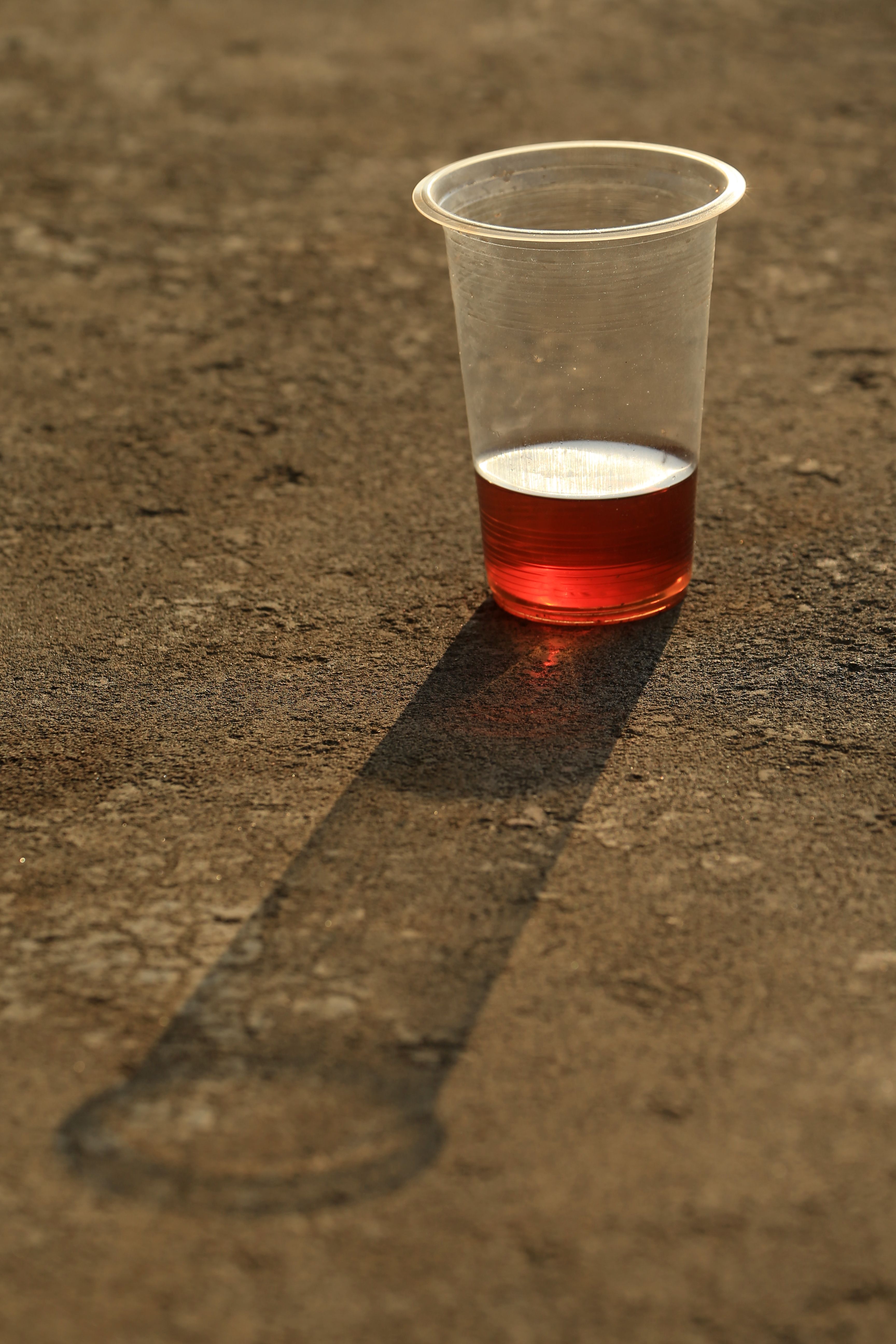 Drink in Disposable Cup Casting Shadow · Free Stock Photo