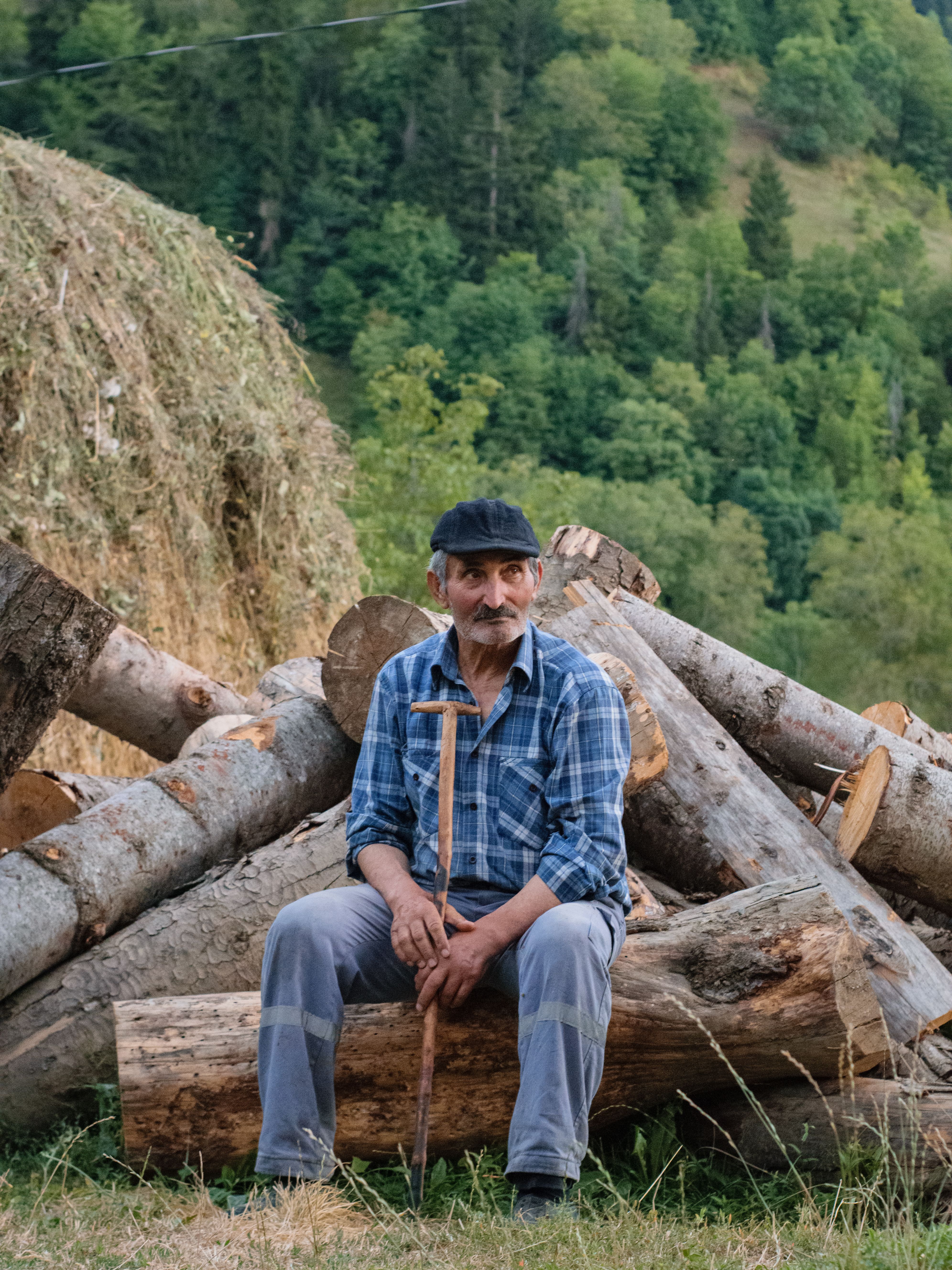 A man sitting on a pile of logs with a stick · Free Stock Photo