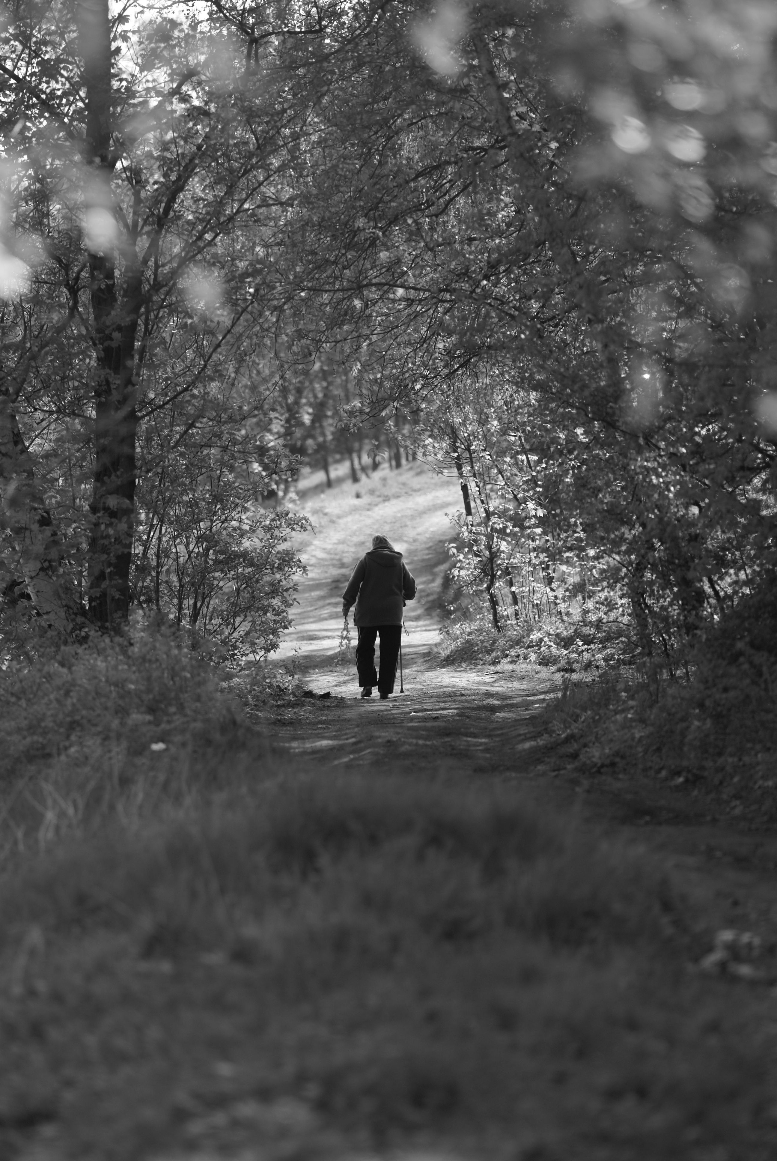 Lone Man Walking in Park · Free Stock Photo