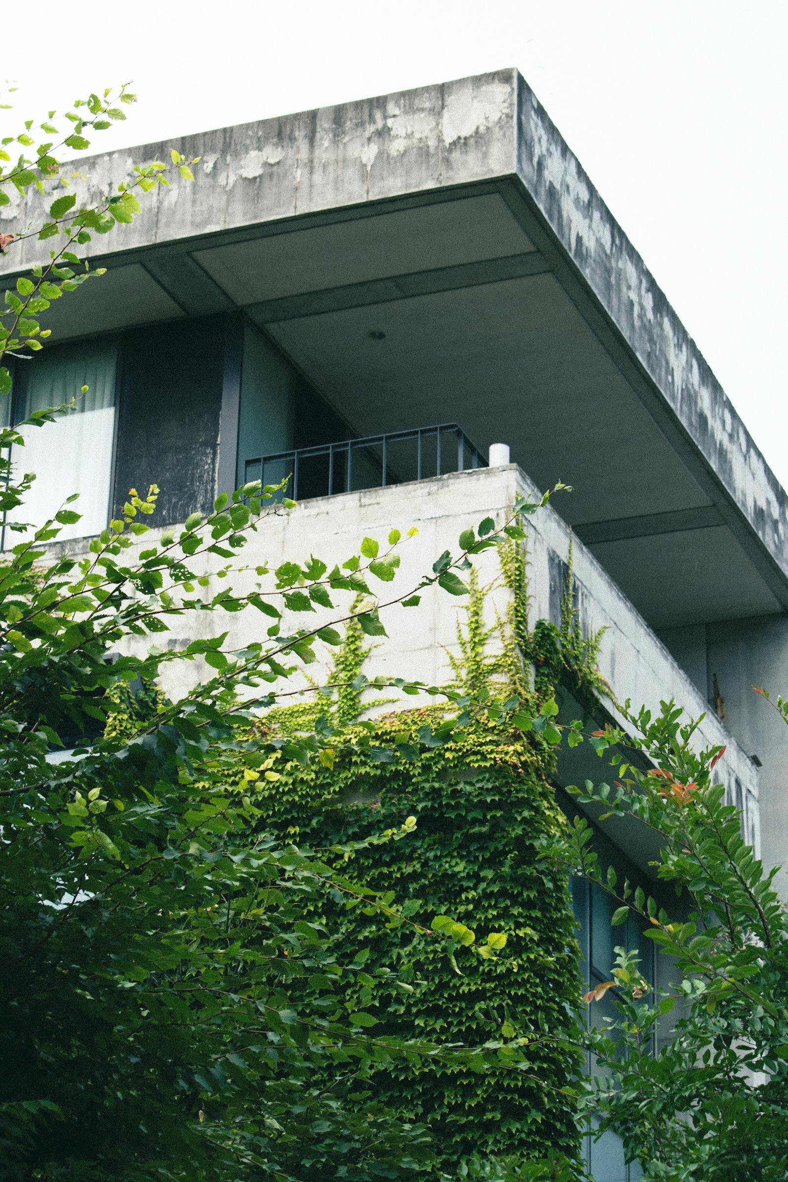 Architecture Building Photos, Download The BEST Free Architecture ...