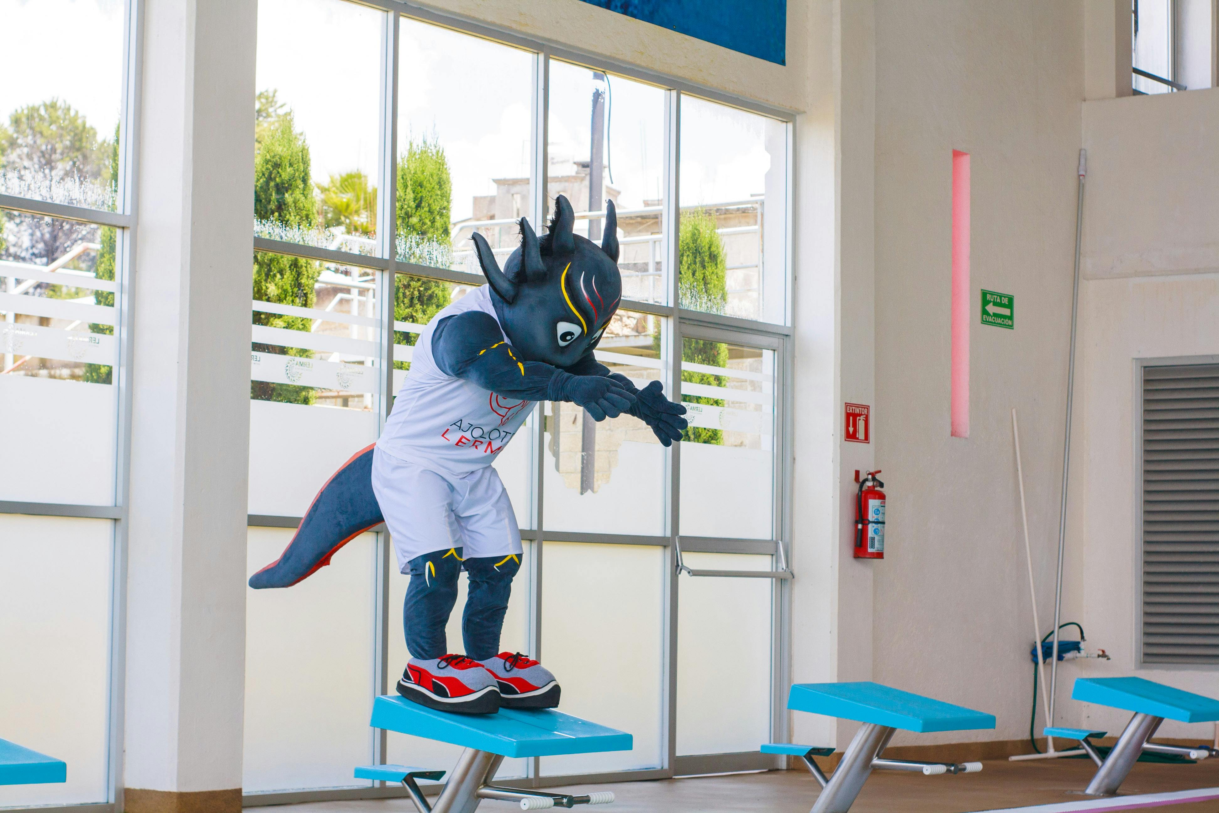 Mascot Posing on Swimming Pool · Free Stock Photo
