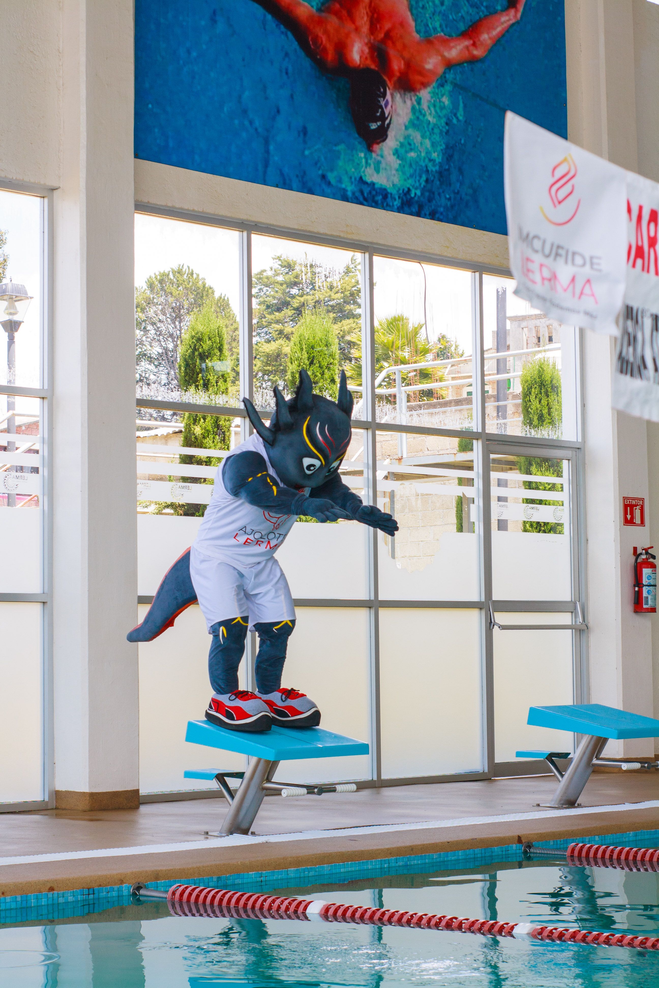 Mascot on Swimming Pool · Free Stock Photo