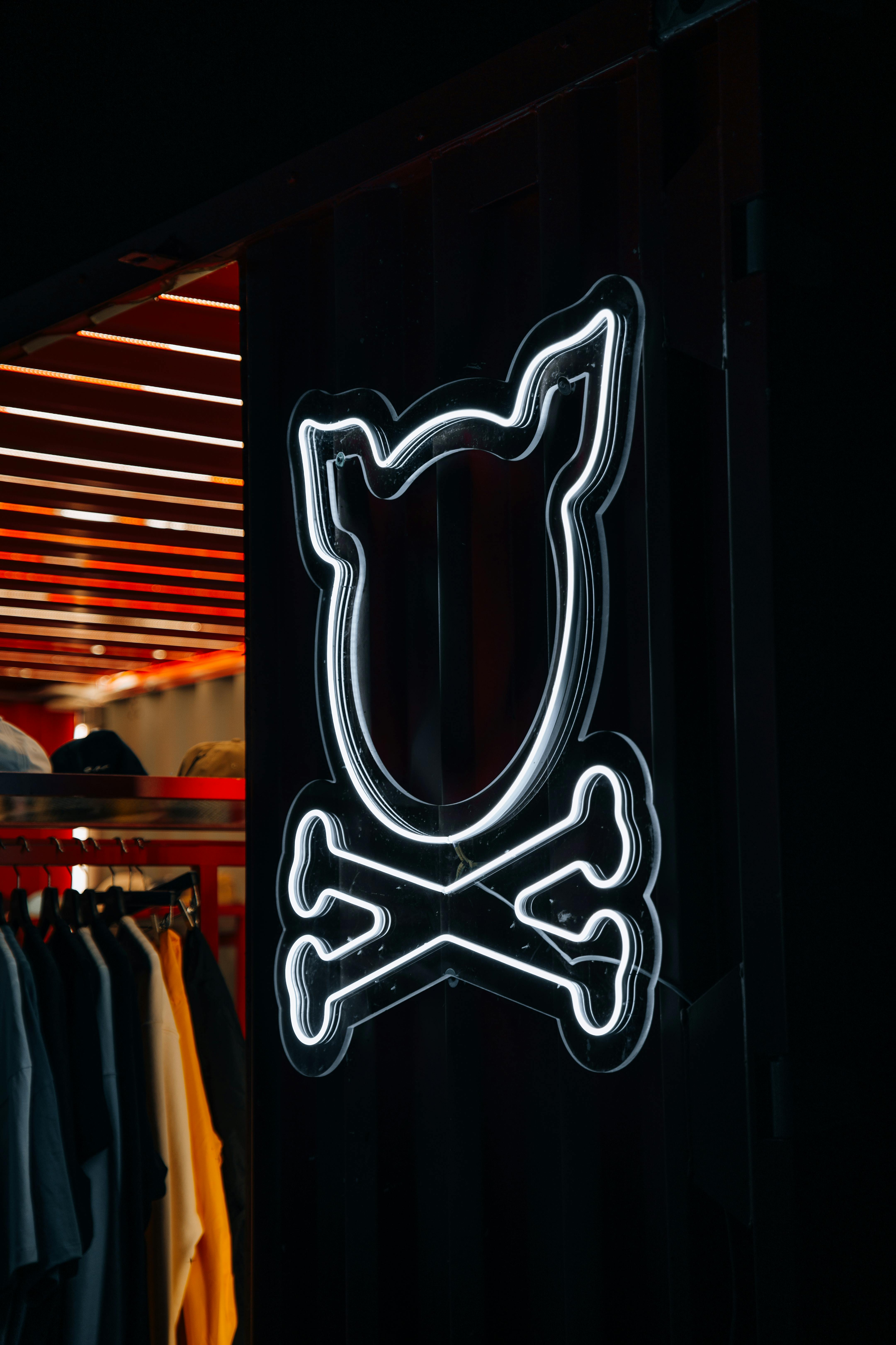 Dog Digging Up Bones Photos, Download The BEST Free Dog Digging Up ...