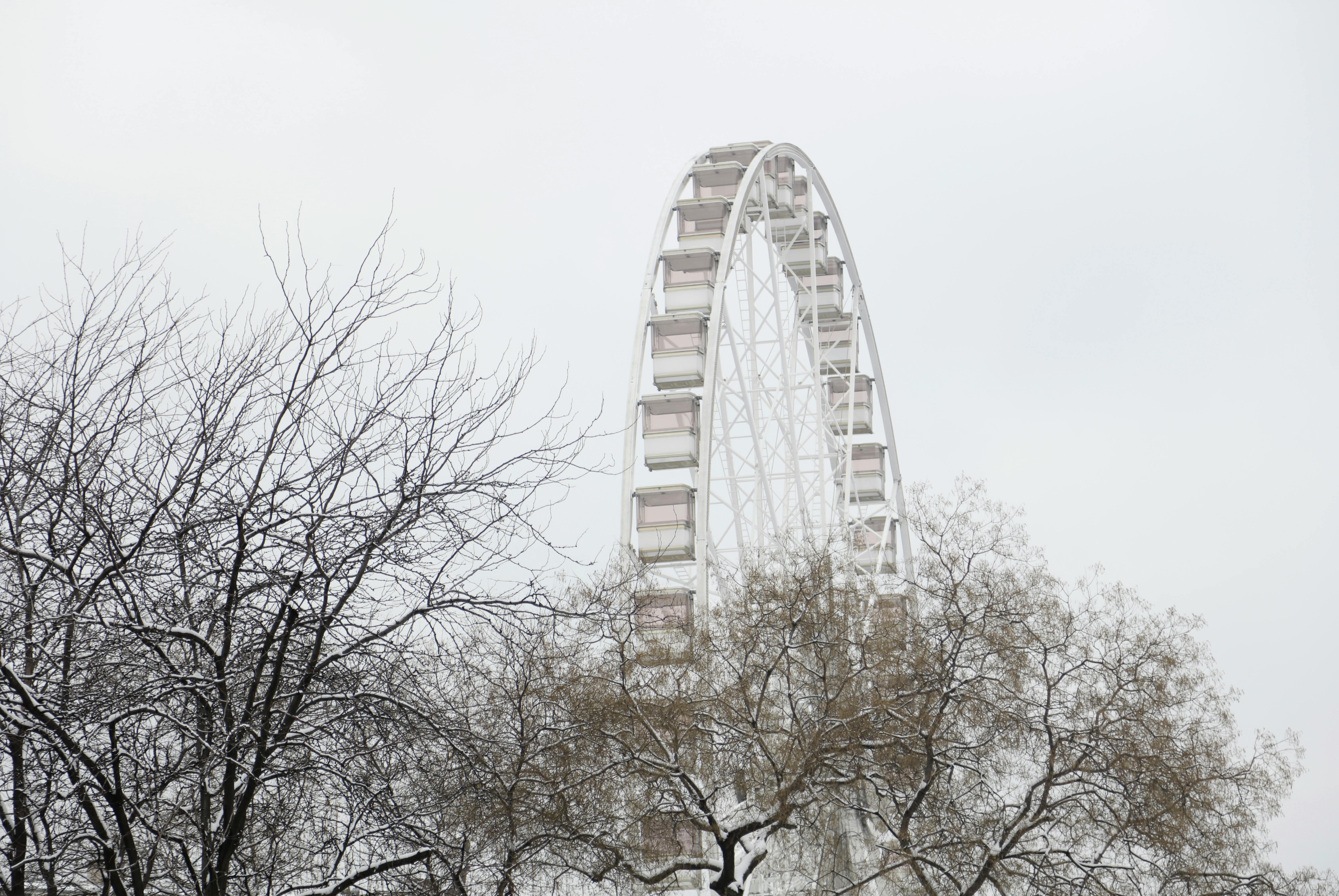 Theme Park Landscape Photos, Download The BEST Free Theme Park ...