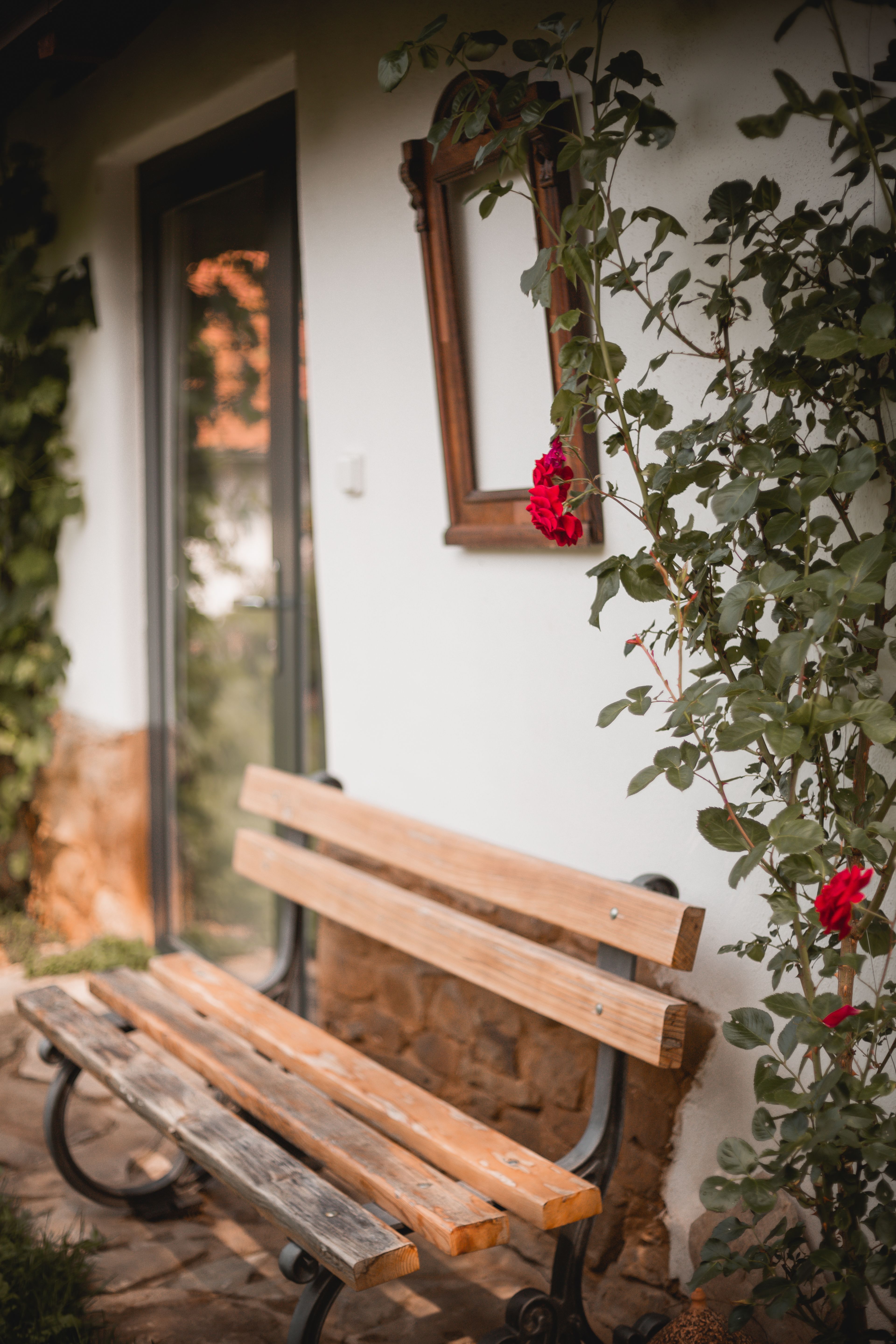 Branch in Front of a House · Free Stock Photo