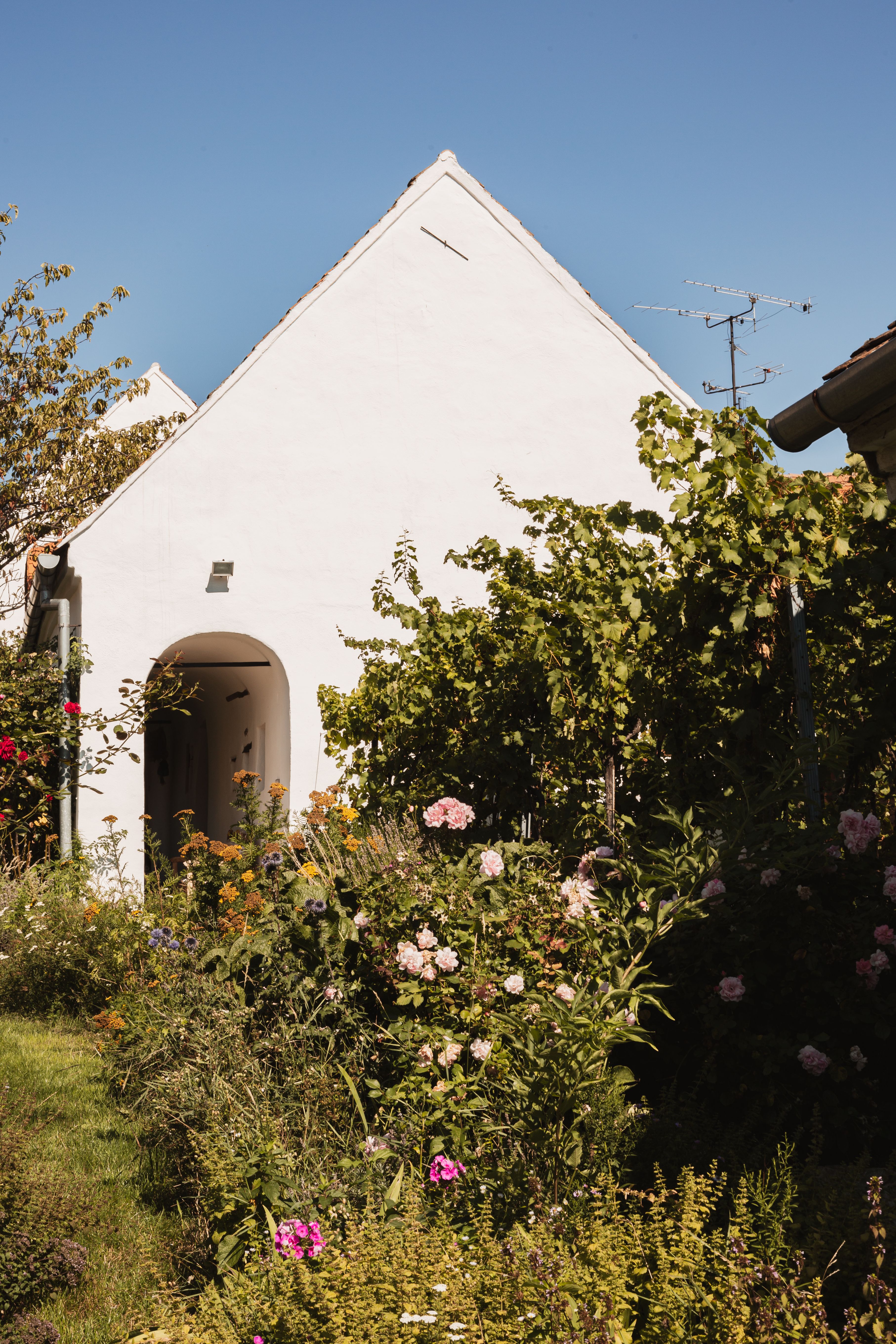 Branch of Flowers in Front of a House · Free Stock Photo