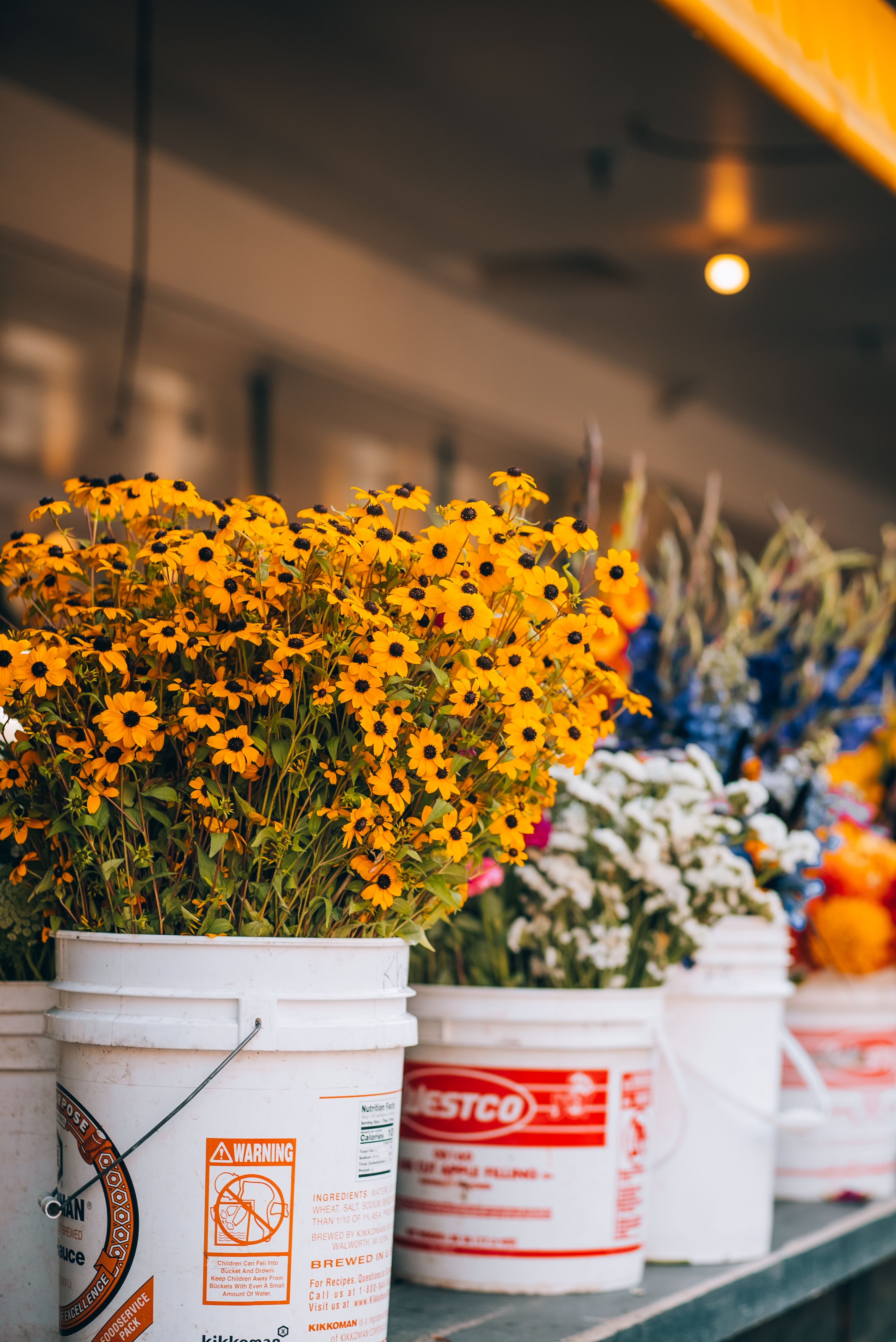 Flowers in buckets at a farmers market · Free Stock Photo