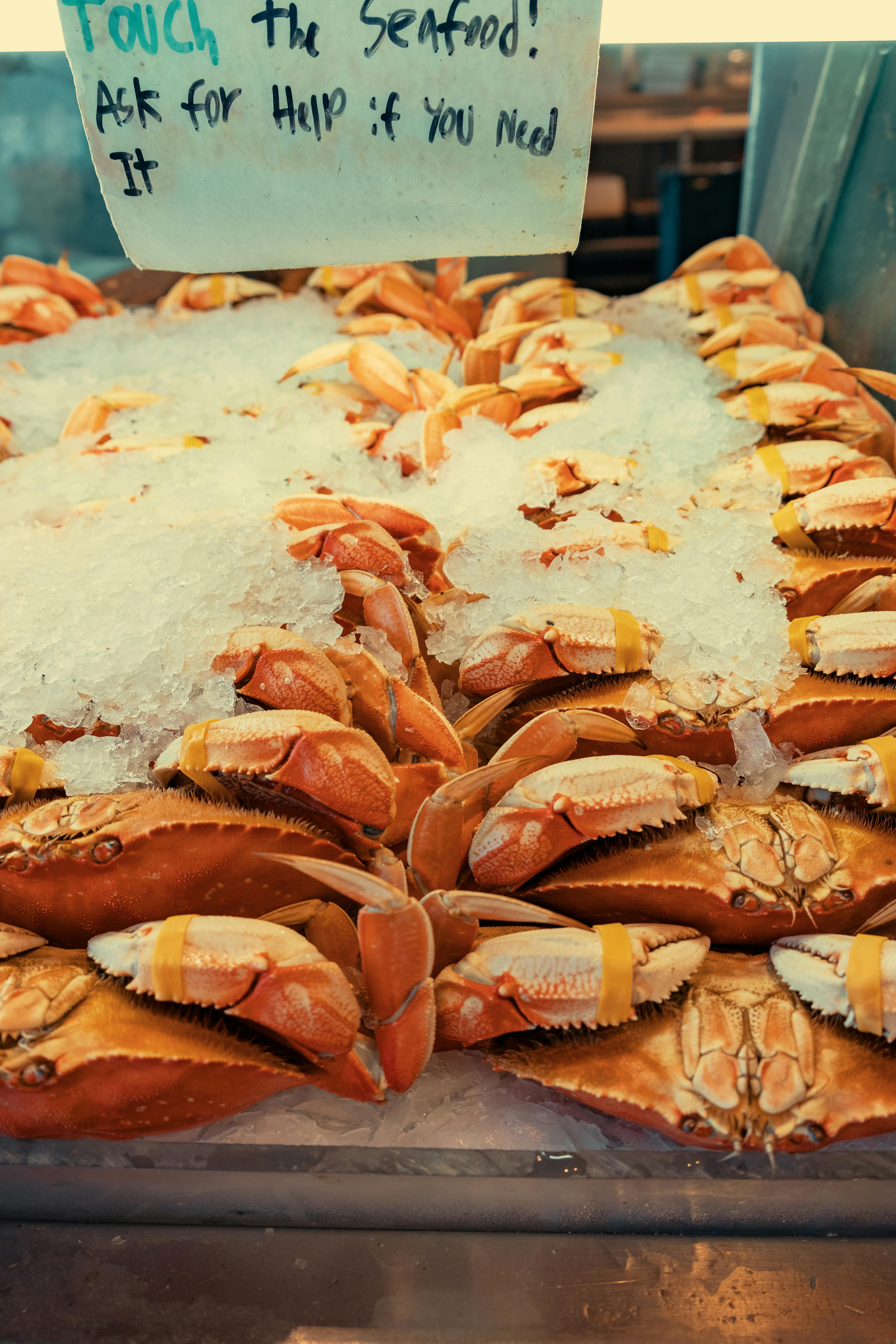 Crabs in a Store · Free Stock Photo