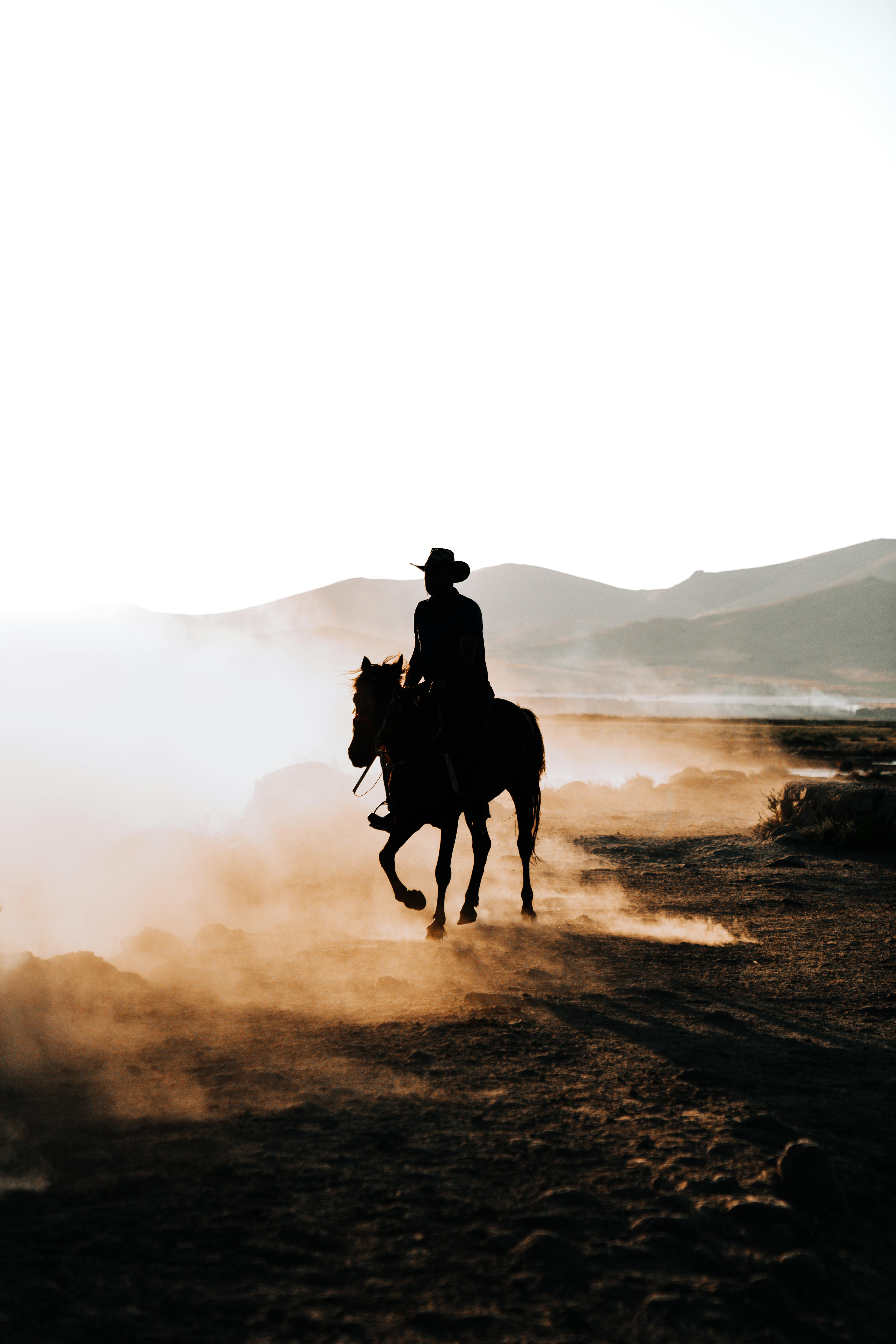 Man in a Hat Riding a Horse at Dawn · Free Stock Photo
