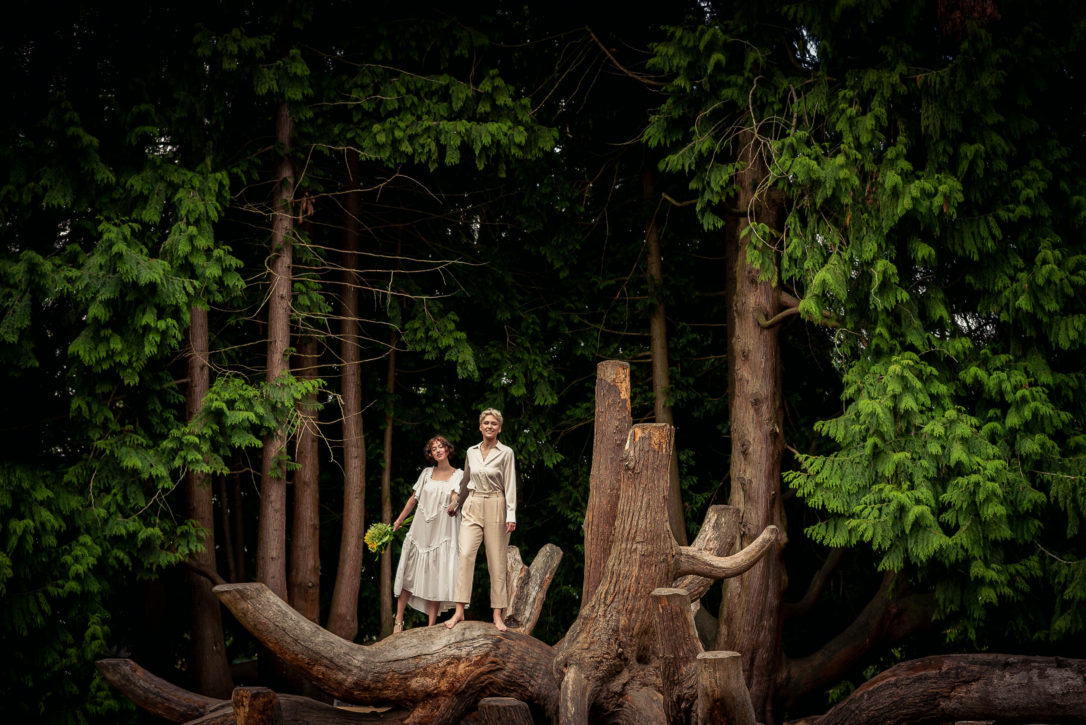 Nicholas Swatz - Photography