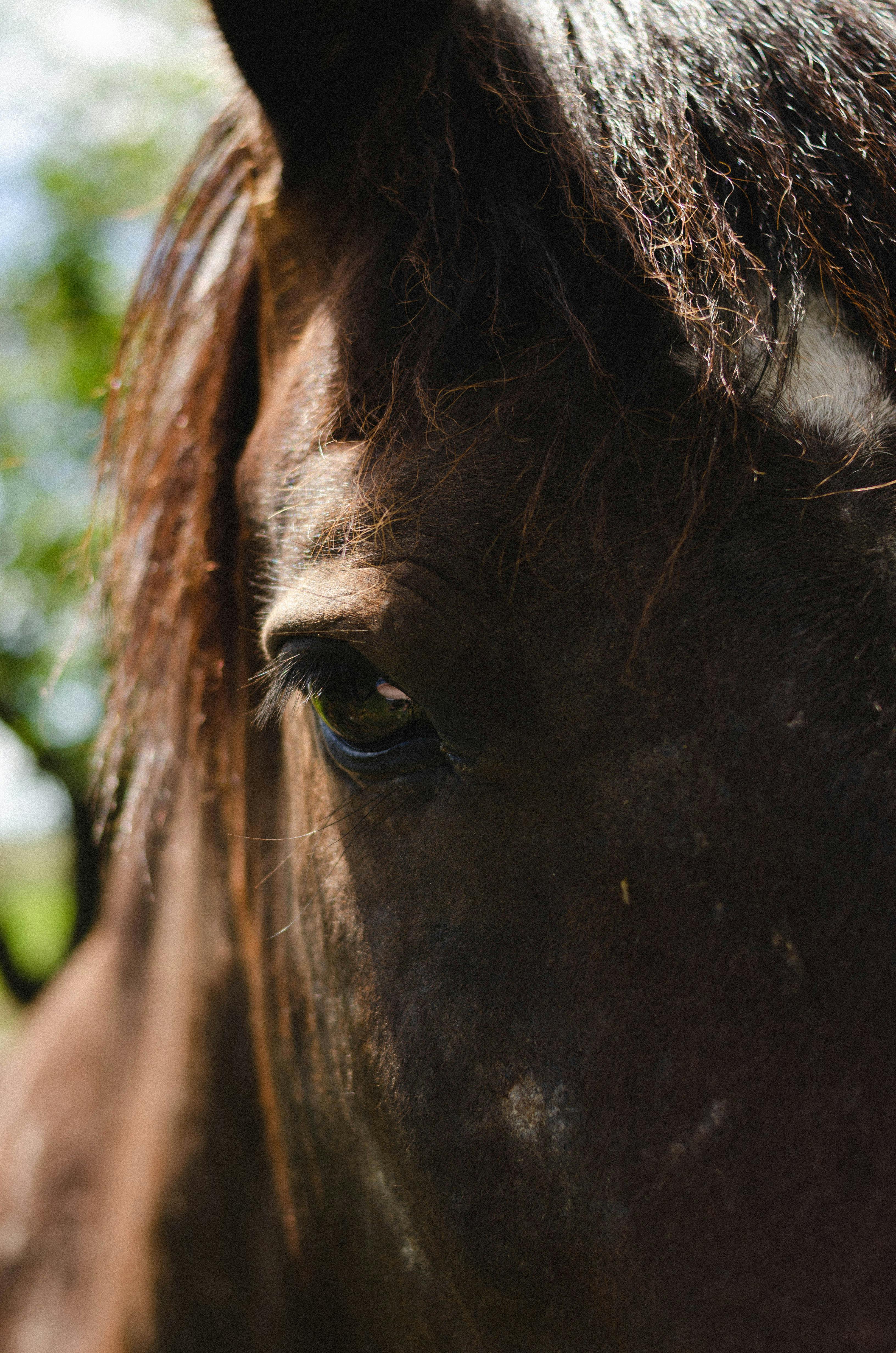 Valentin Ruiz - การถ่ายภาพ