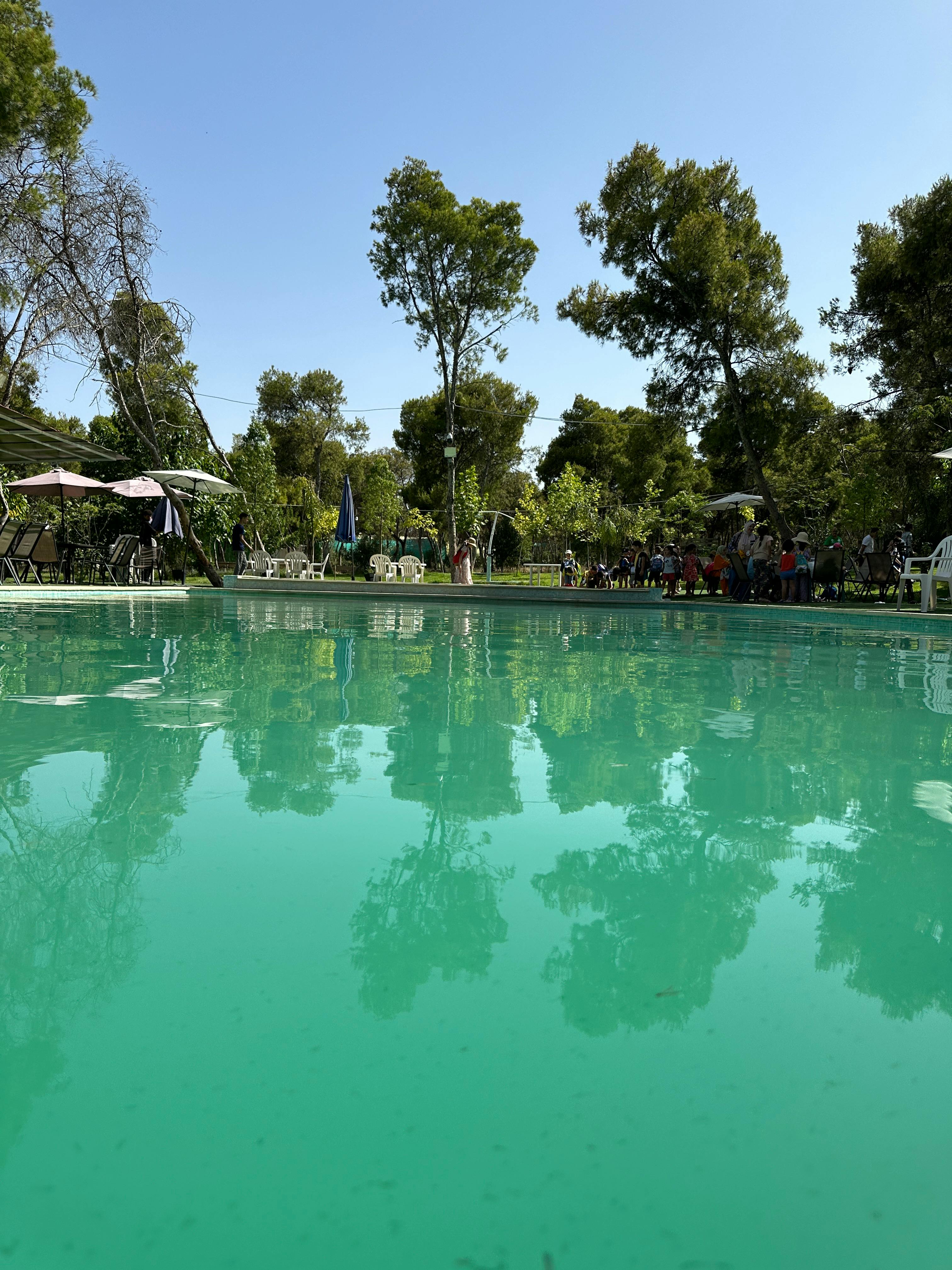 Dhia Eddine - 사진