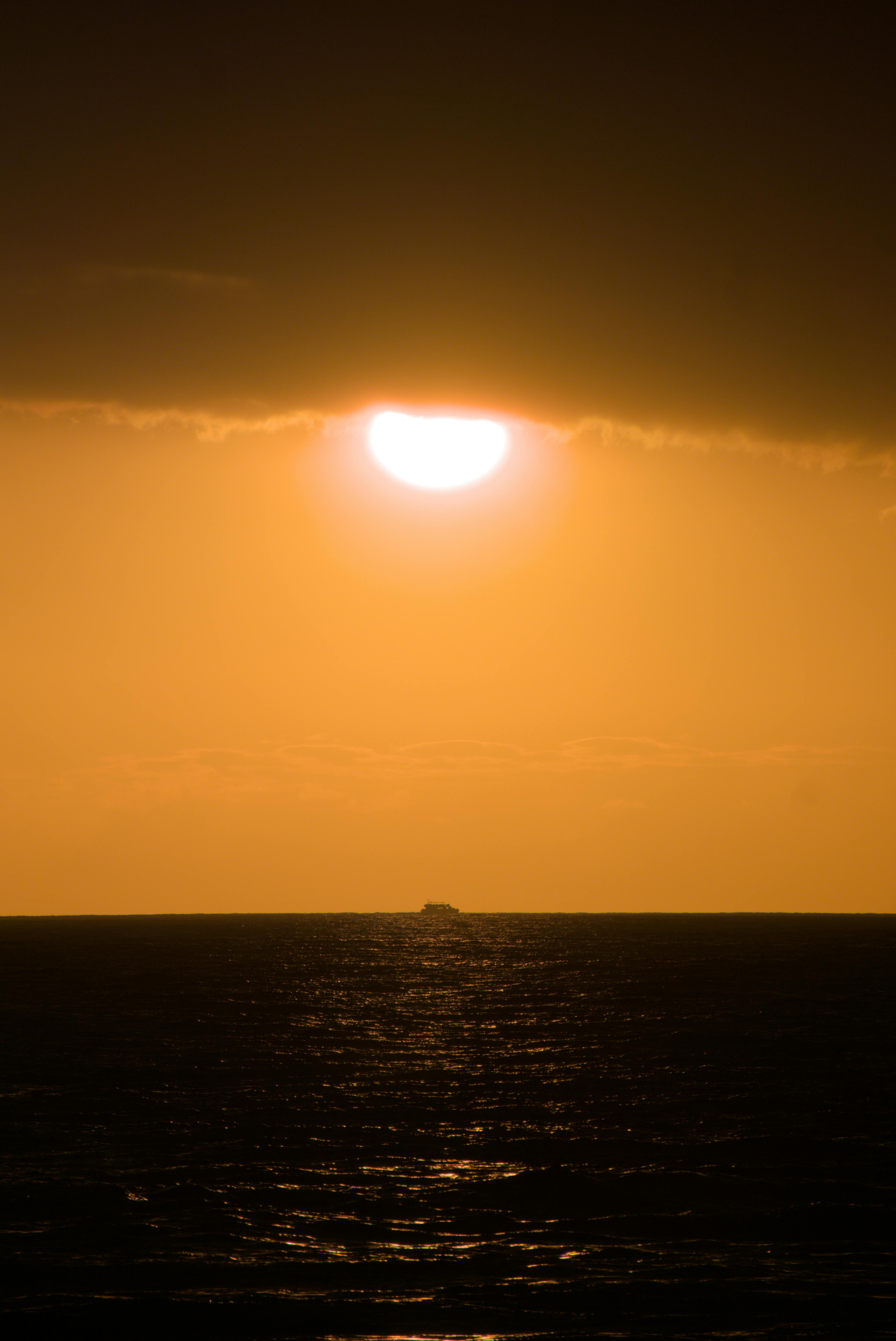 Sun Spotlight Photos, Download The BEST Free Sun Spotlight Stock Photos ...