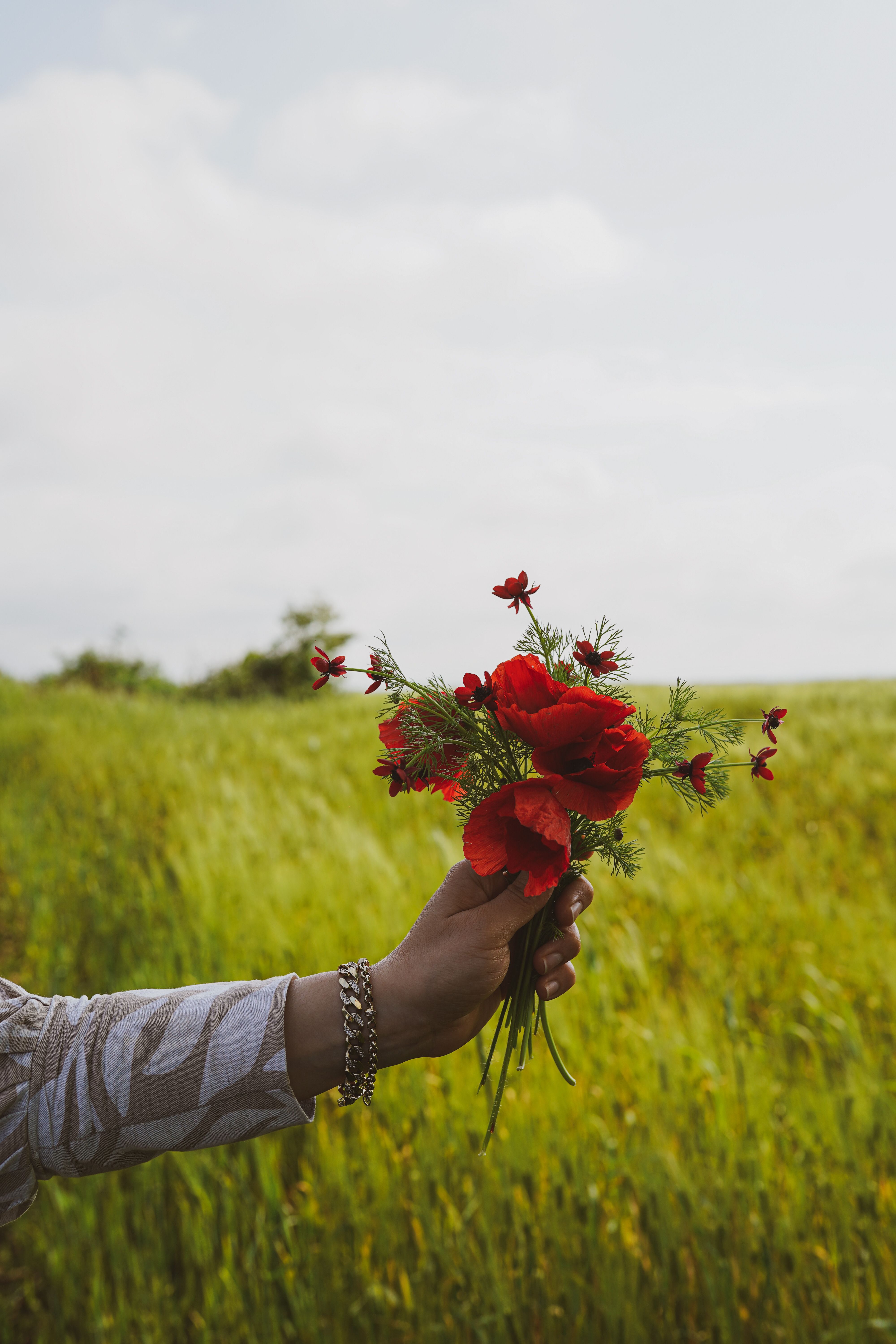 Woman Holding a Bouquet of Red Flowers · Free Stock Photo