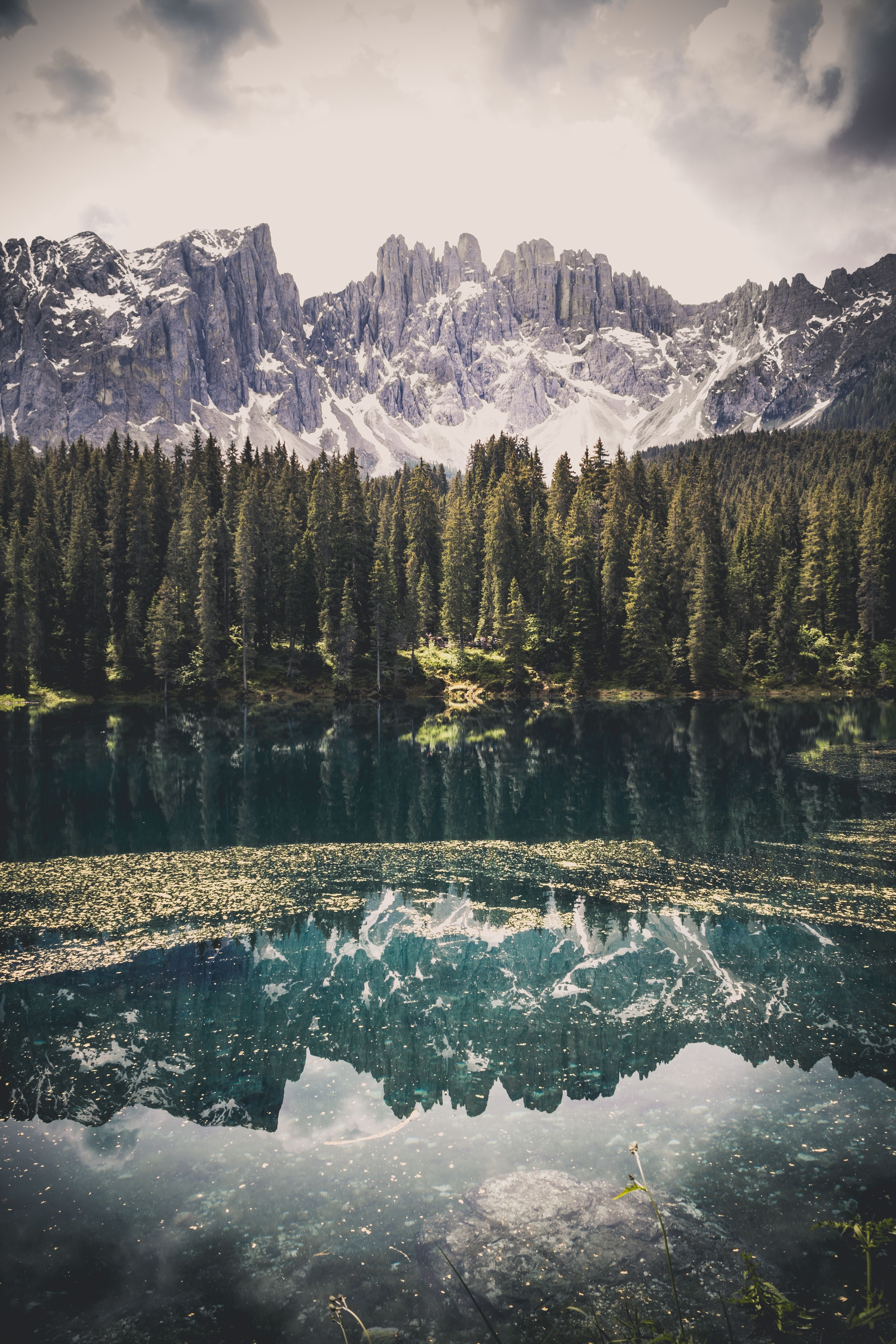 Foto de stock gratuita sobre agua, al aire libre, alerce, amanecer ...