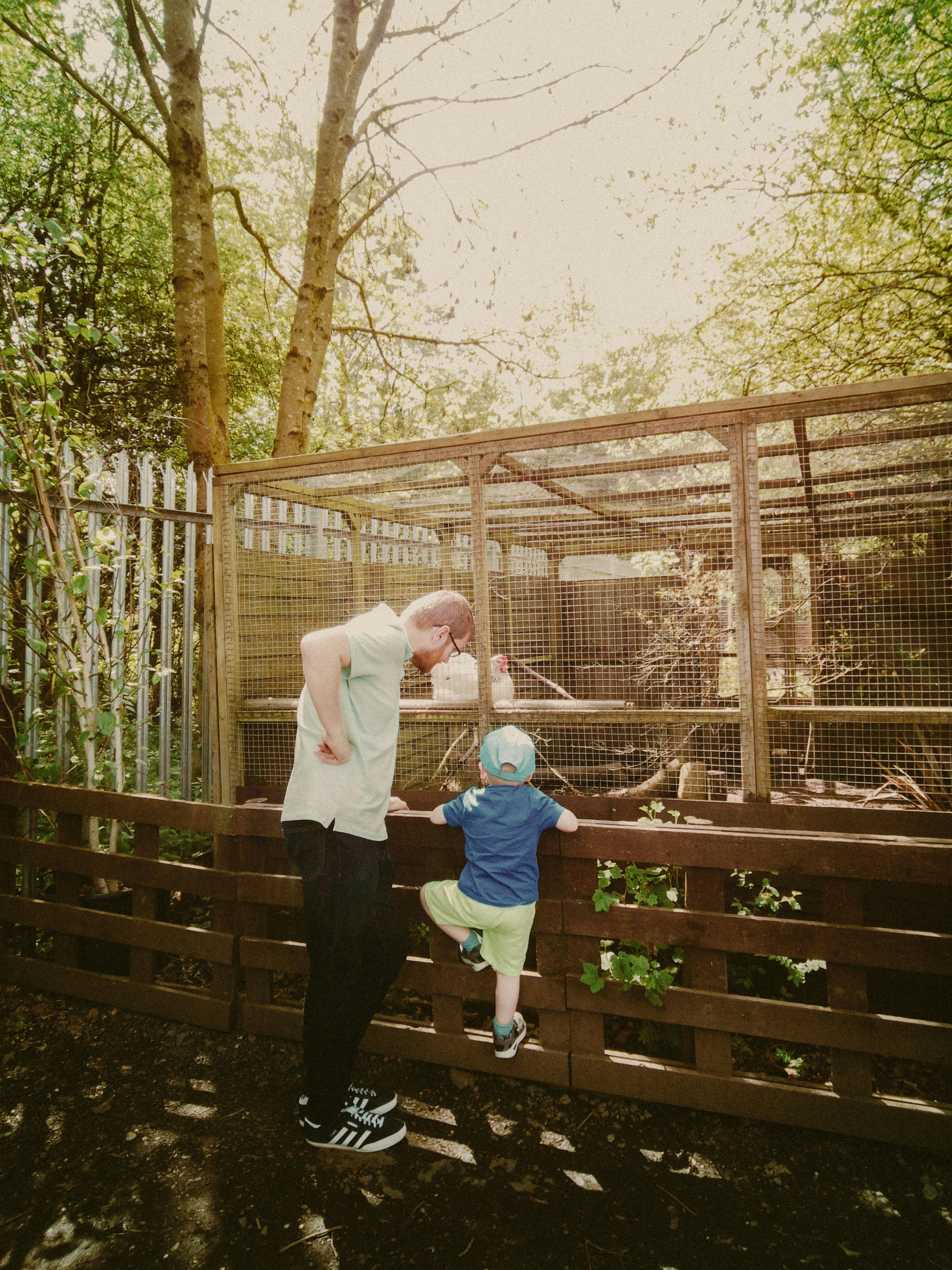 Man with His Child at the Zoo · Free Stock Photo
