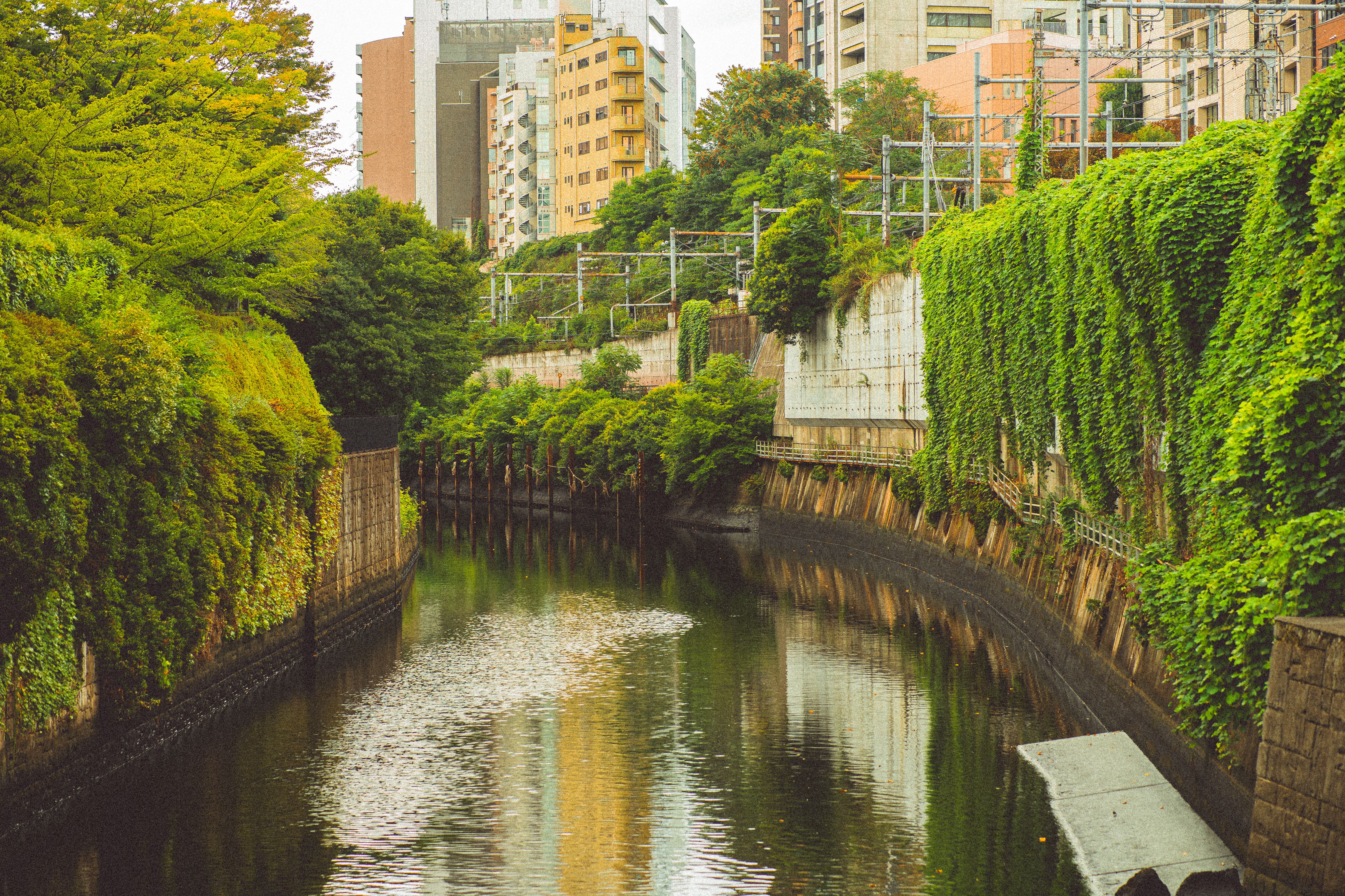 View of a Canal with Plants Growing on Both Sides near Apartment Blocks ...