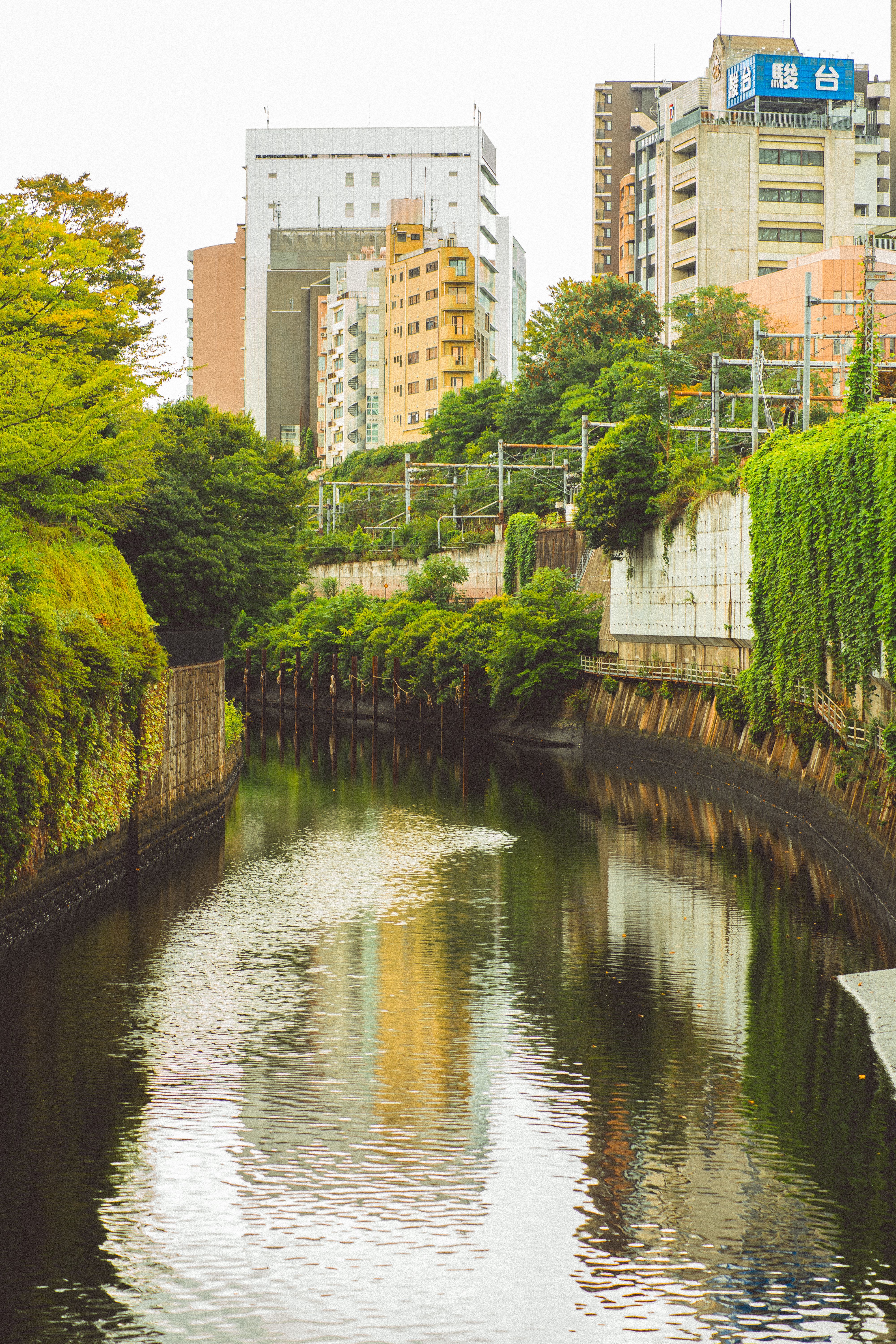 View of a Canal with Plants Growing on Both Sides near Apartment Blocks ...