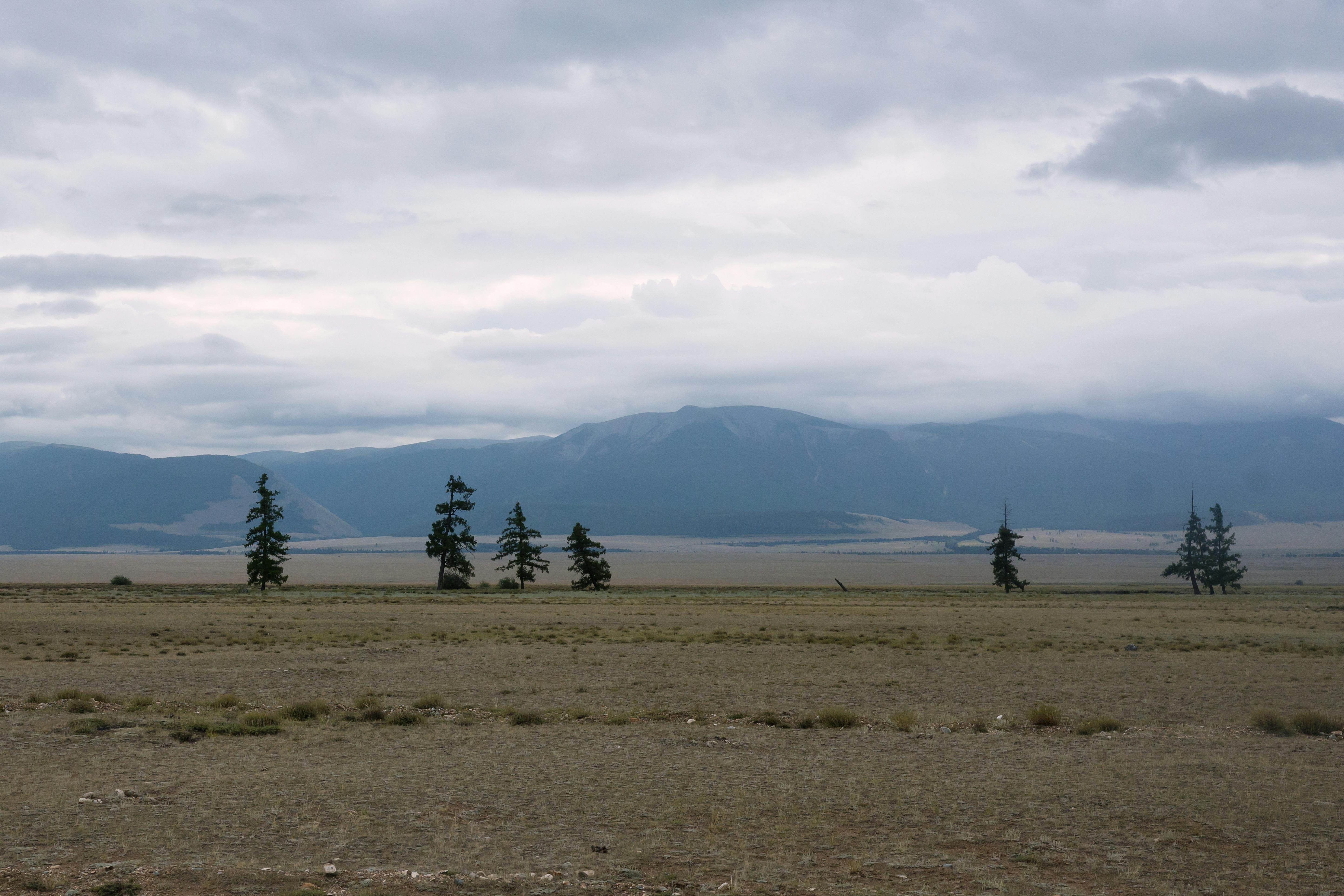 Yulia Rozanova - Photography