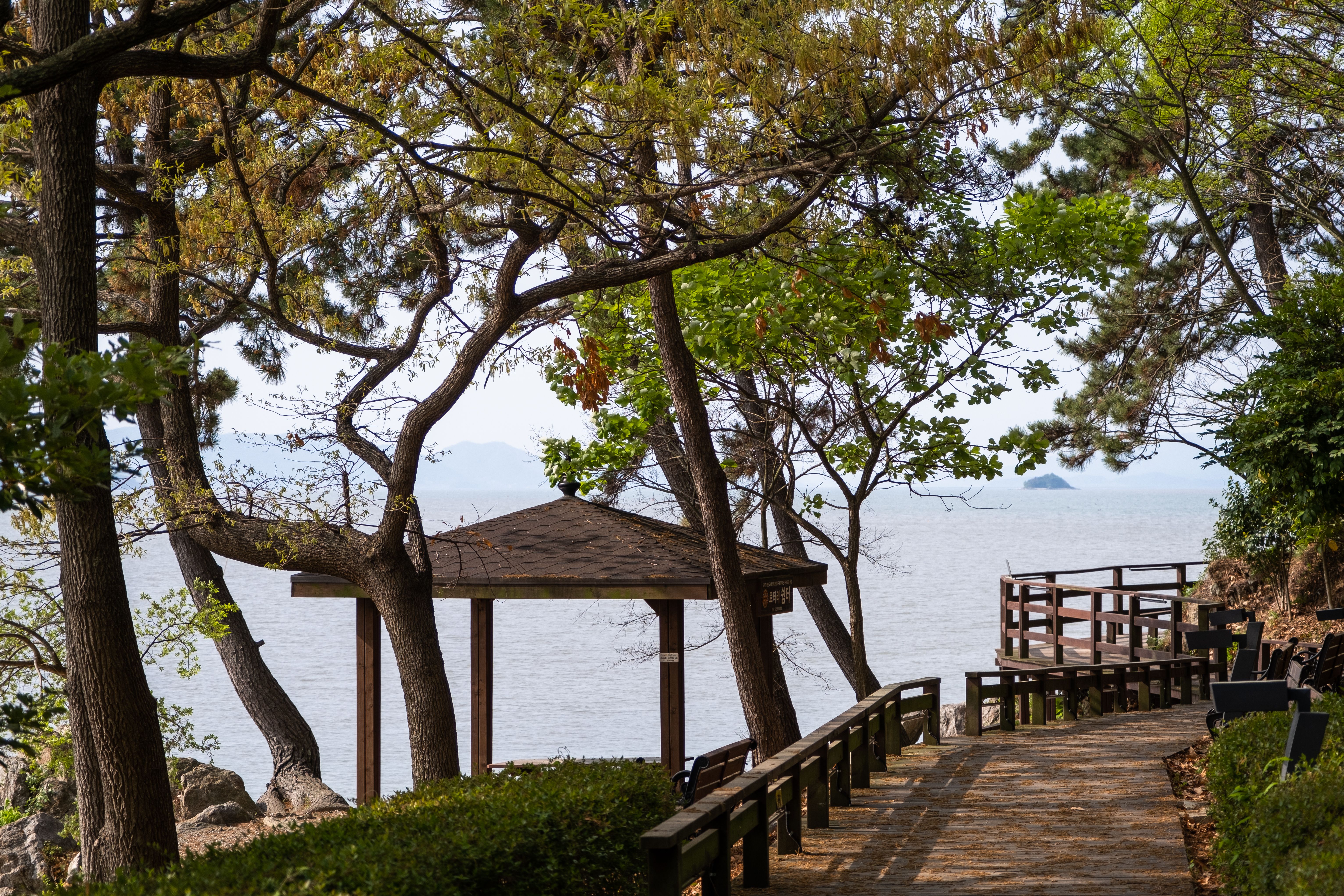 A Footpath by a Sea · Free Stock Photo