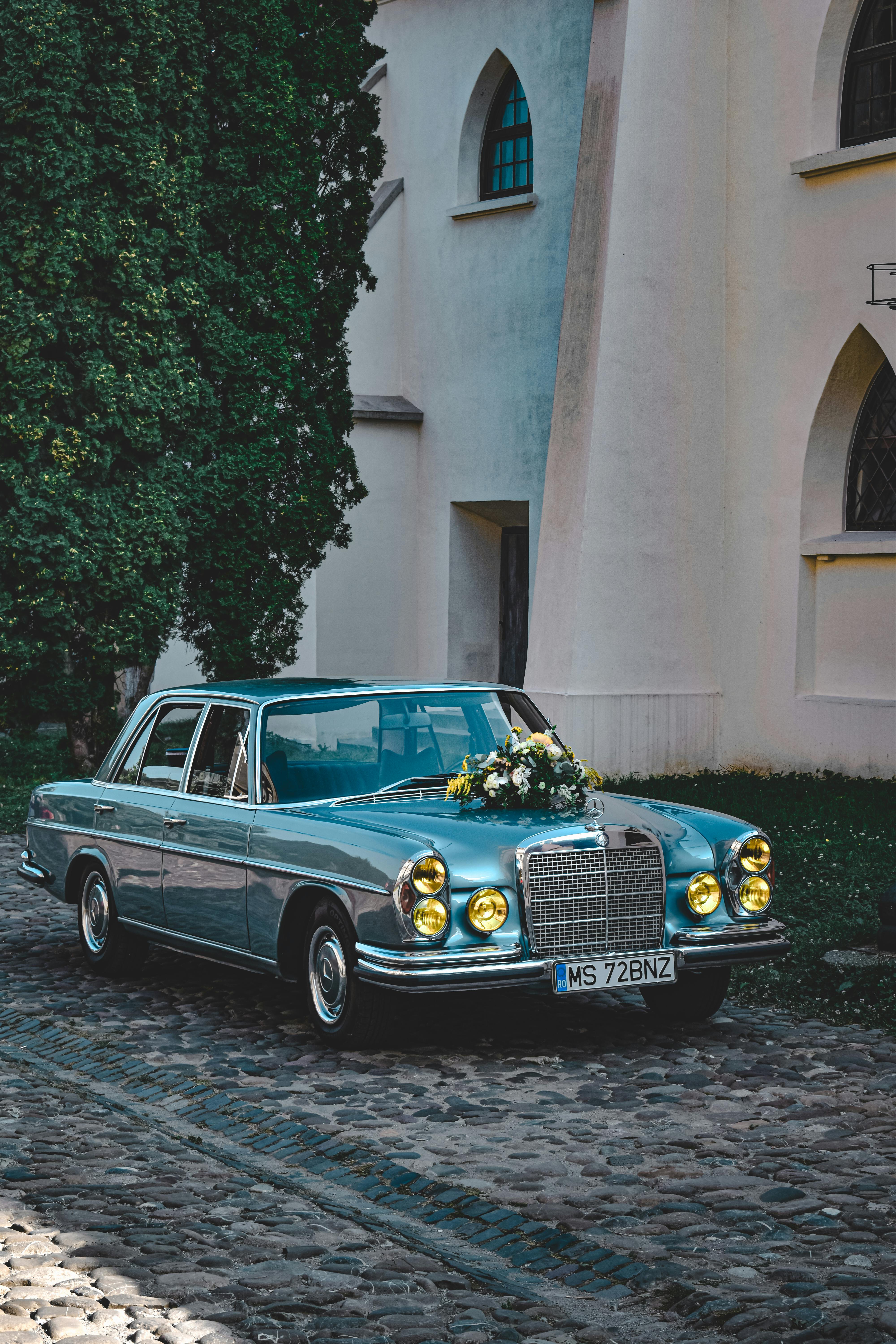 W109 Photos, Download The BEST Free W109 Stock Photos & HD Images