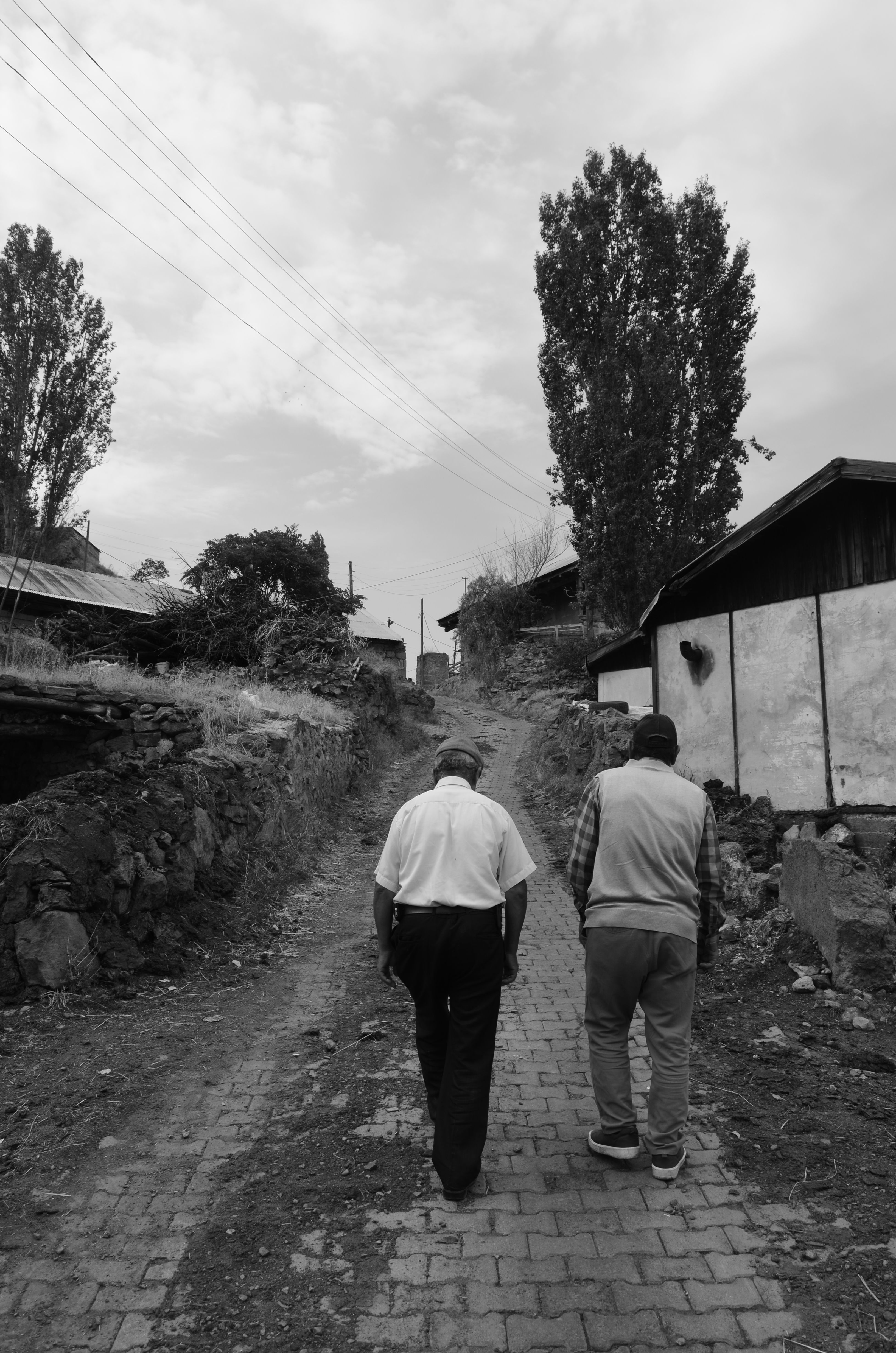Two Men Walking on a Path · Free Stock Photo